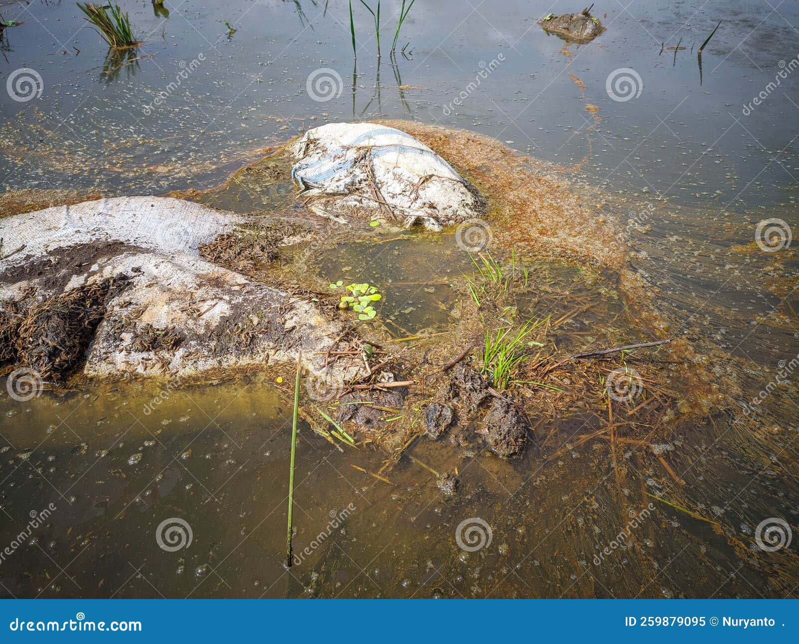 Garbage that Pollutes the Water. Stock Image - Image of environment ...