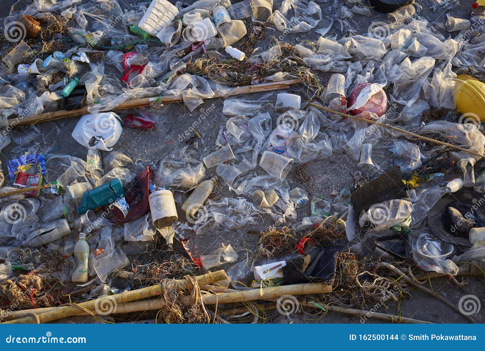 Garbage Pollution In The Streets Of Chacao, Caracas Editorial Photo ...