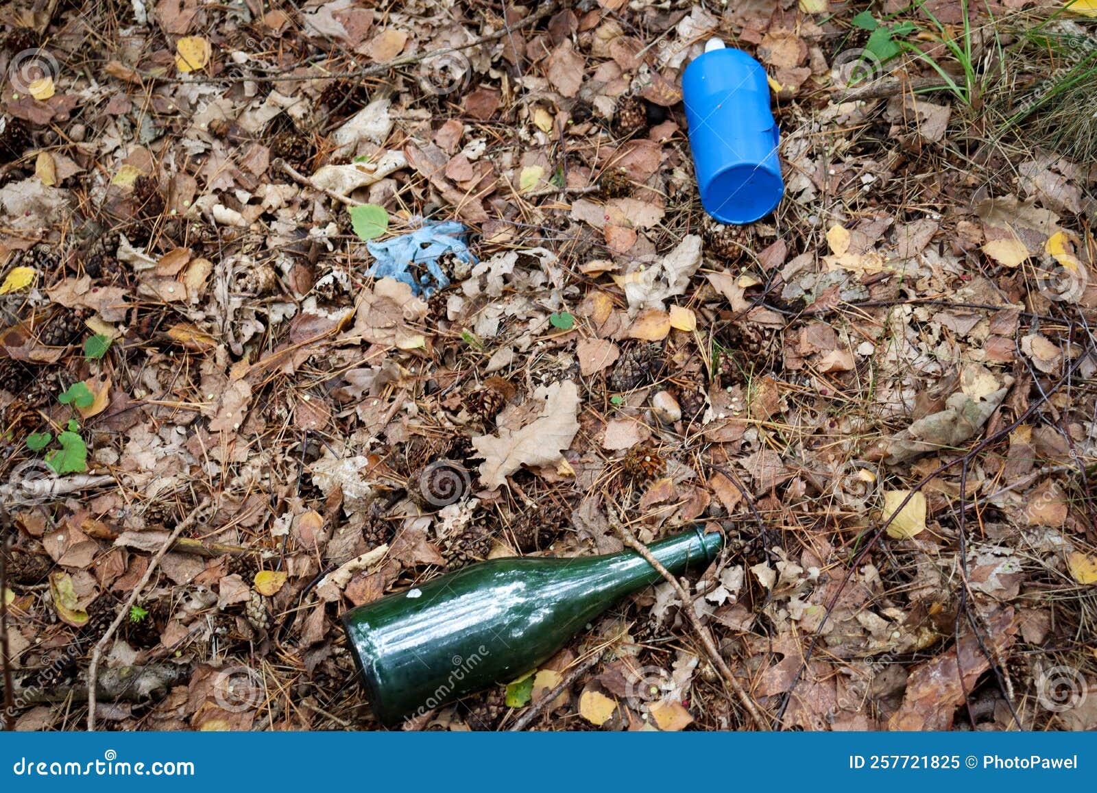 Garbage Problem in the Forest . Plastic Trash in the Forest. Tucked ...