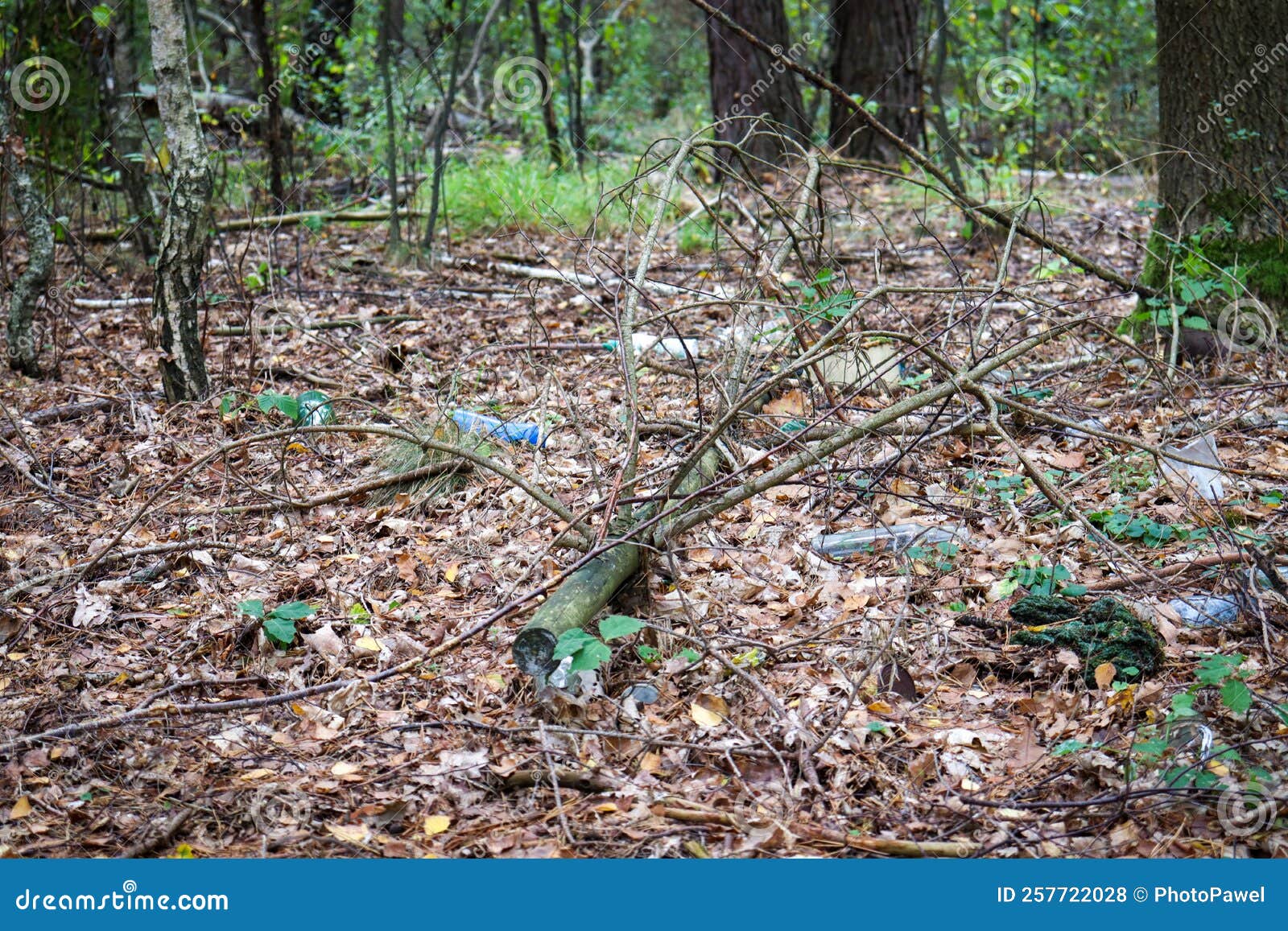 Garbage Problem in the Forest . Plastic Trash in the Forest. Tucked ...