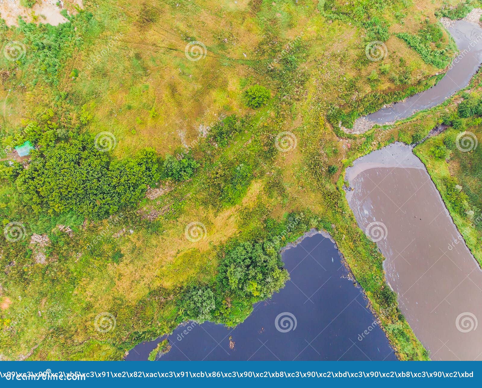Garbage and Reflection of the Leafless Trees in Water. Environmental ...