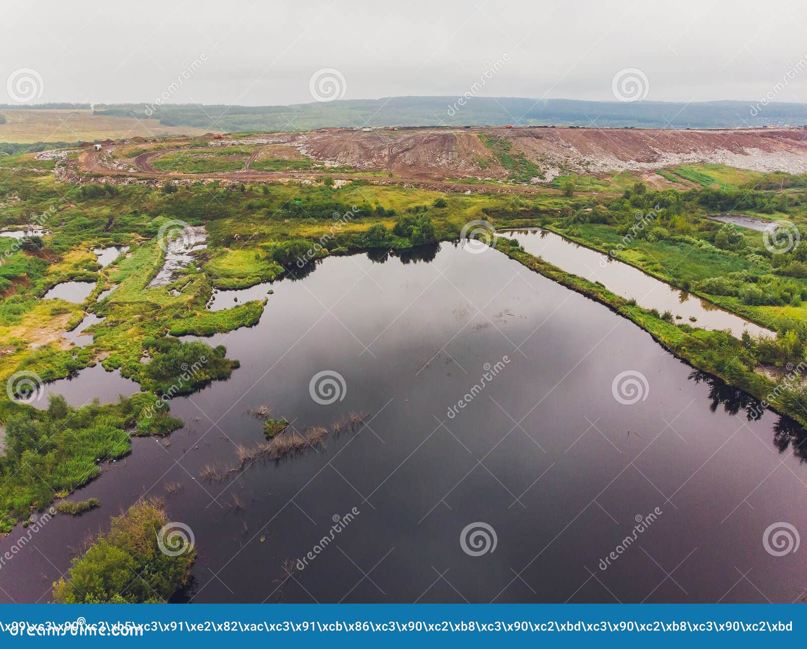 Garbage and Reflection of the Leafless Trees in Water. Environmental ...