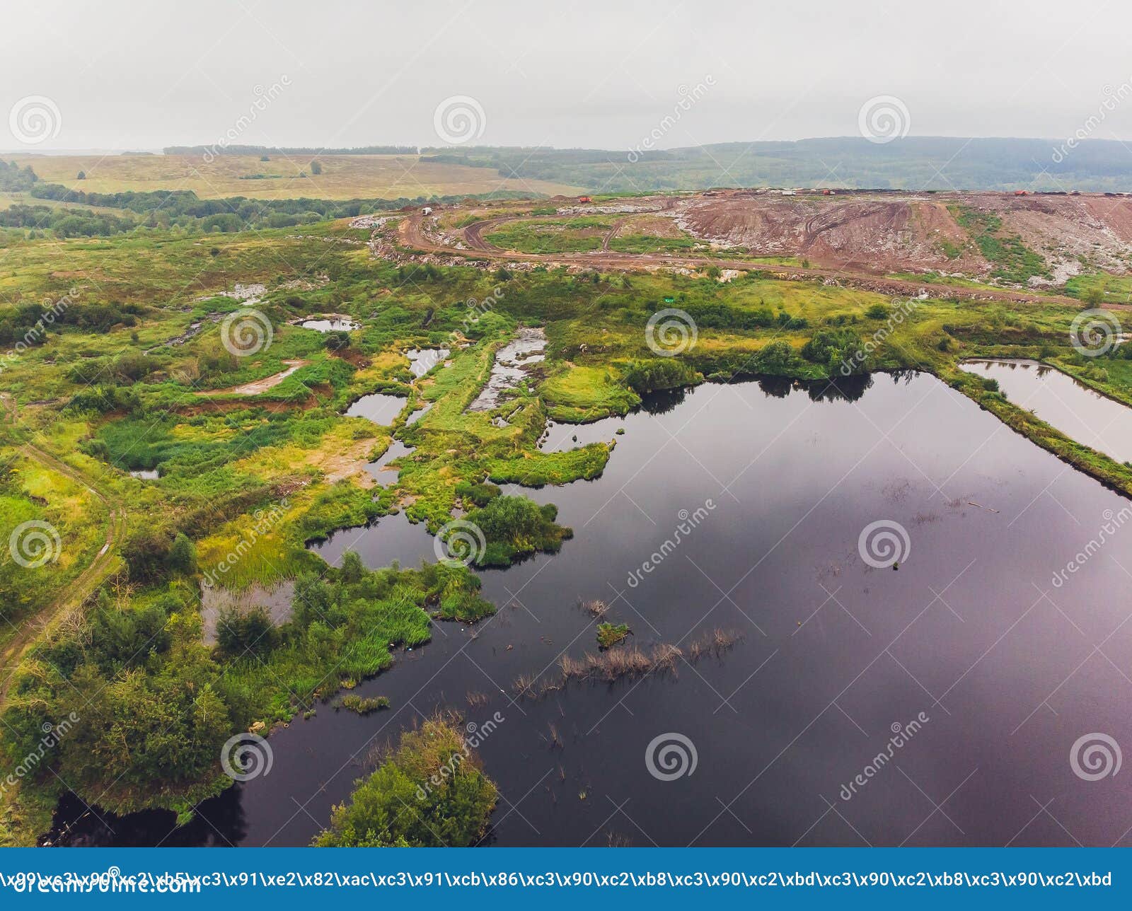 Garbage and Reflection of the Leafless Trees in Water. Environmental ...
