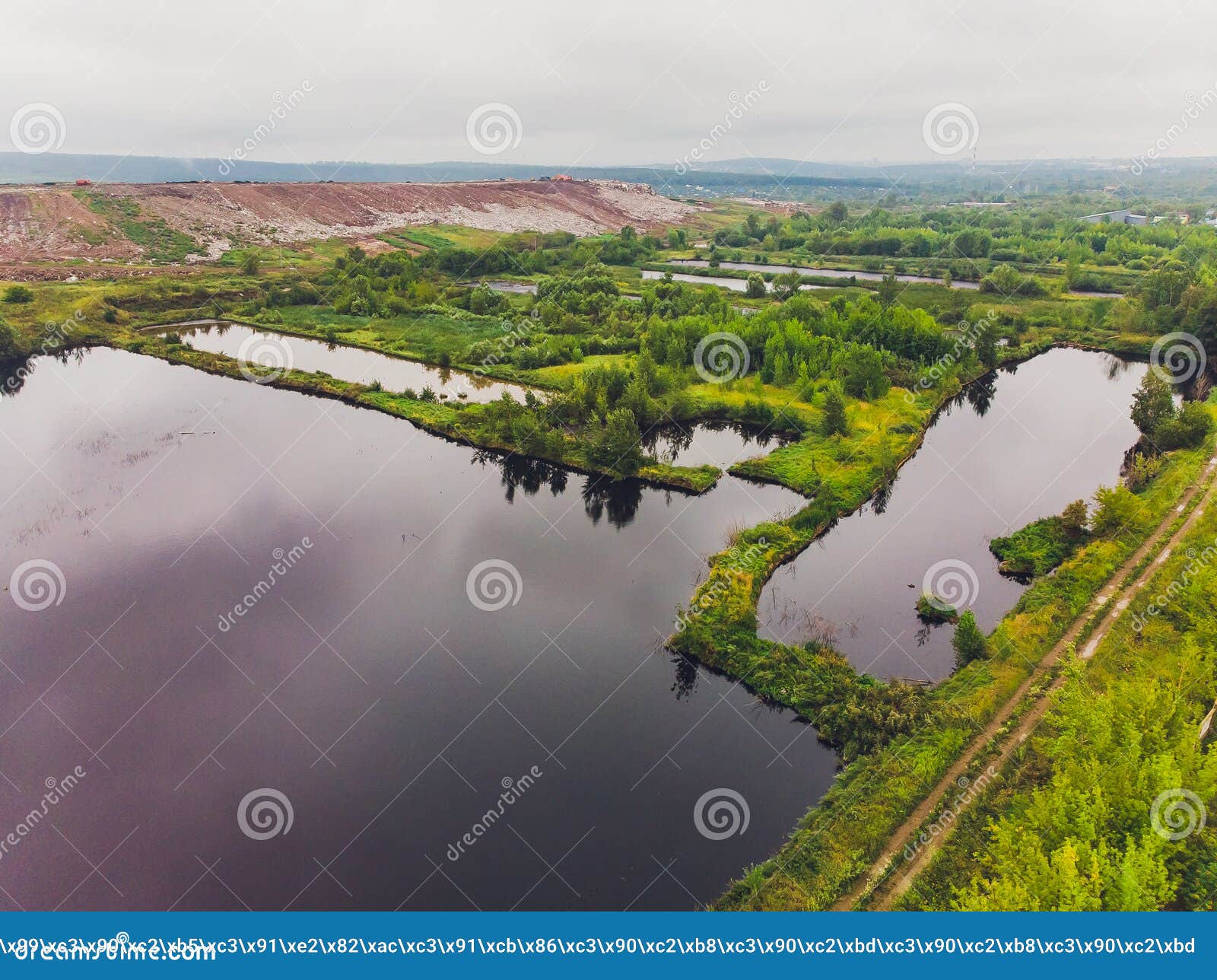 Garbage and Reflection of the Leafless Trees in Water. Environmental ...