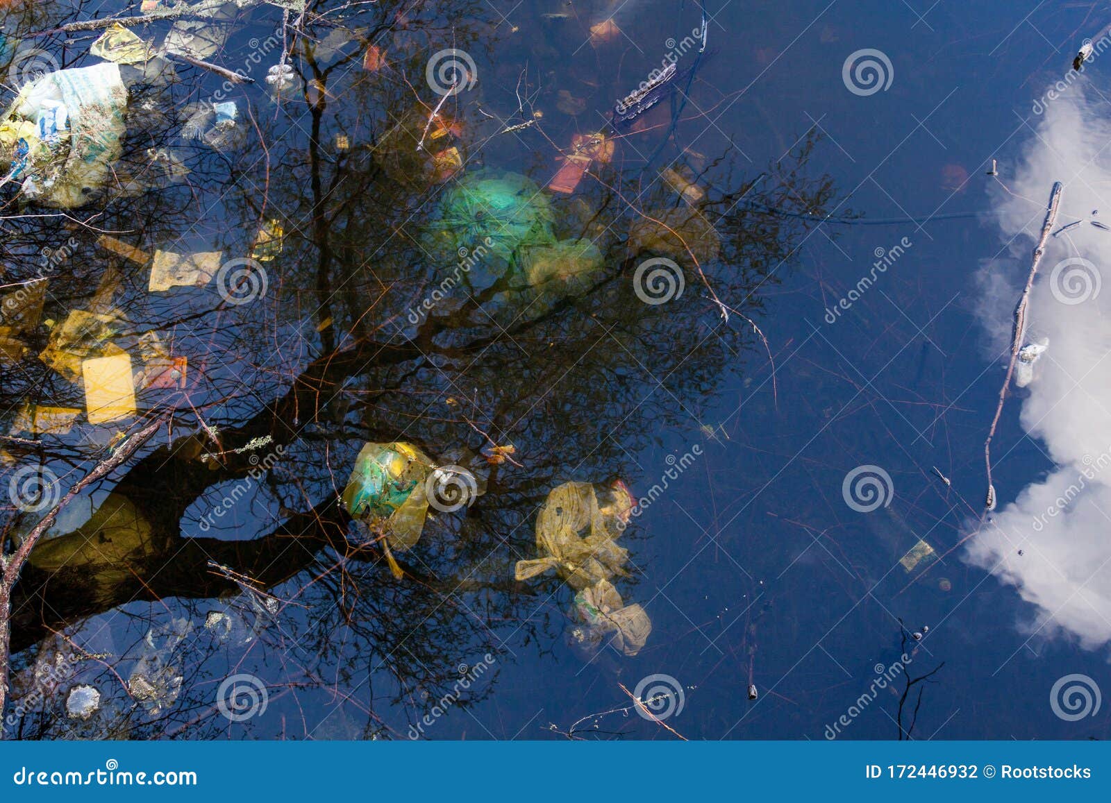 Garbage and Tree Reflections in Water Stock Photo - Image of leafless ...