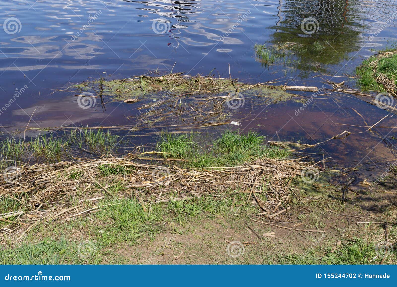 Garbage on river bank stock photo. Image of slime, problem - 155244702