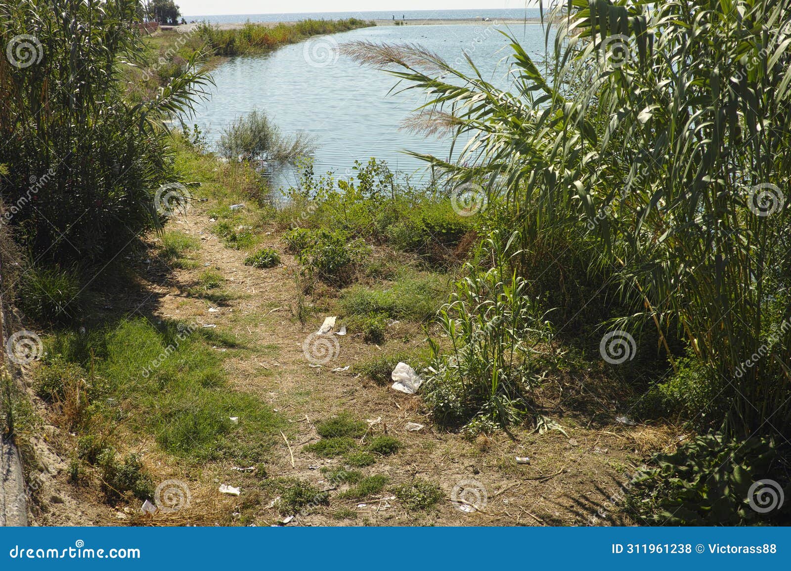 Garbage on the river bank stock photo. Image of summer - 311961238