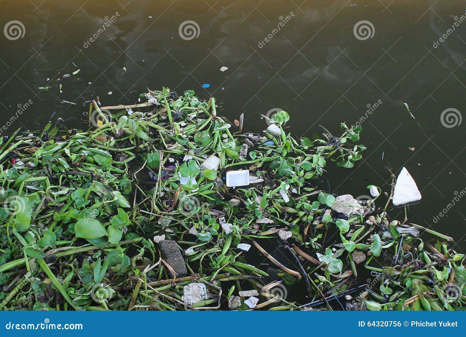 Garbage in river stock photo. Image of junk, bagmati - 64320756