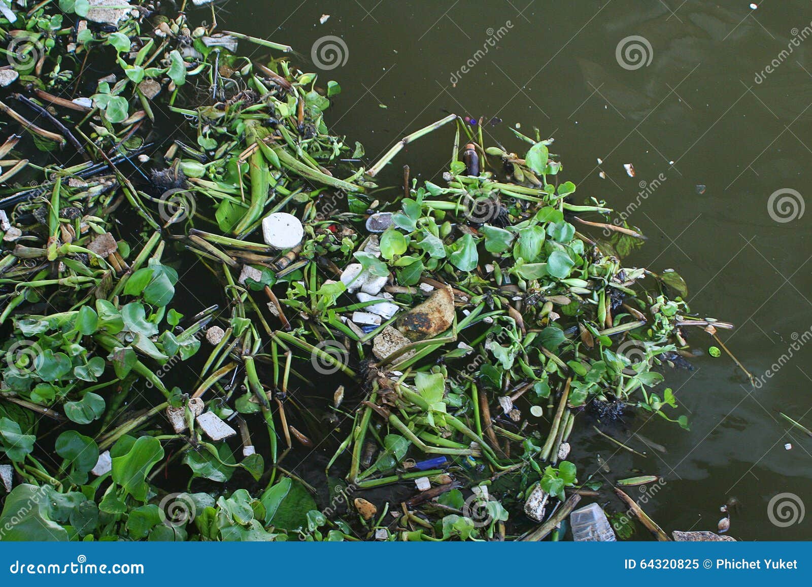 Garbage in river stock image. Image of ecology, industrial - 64320825