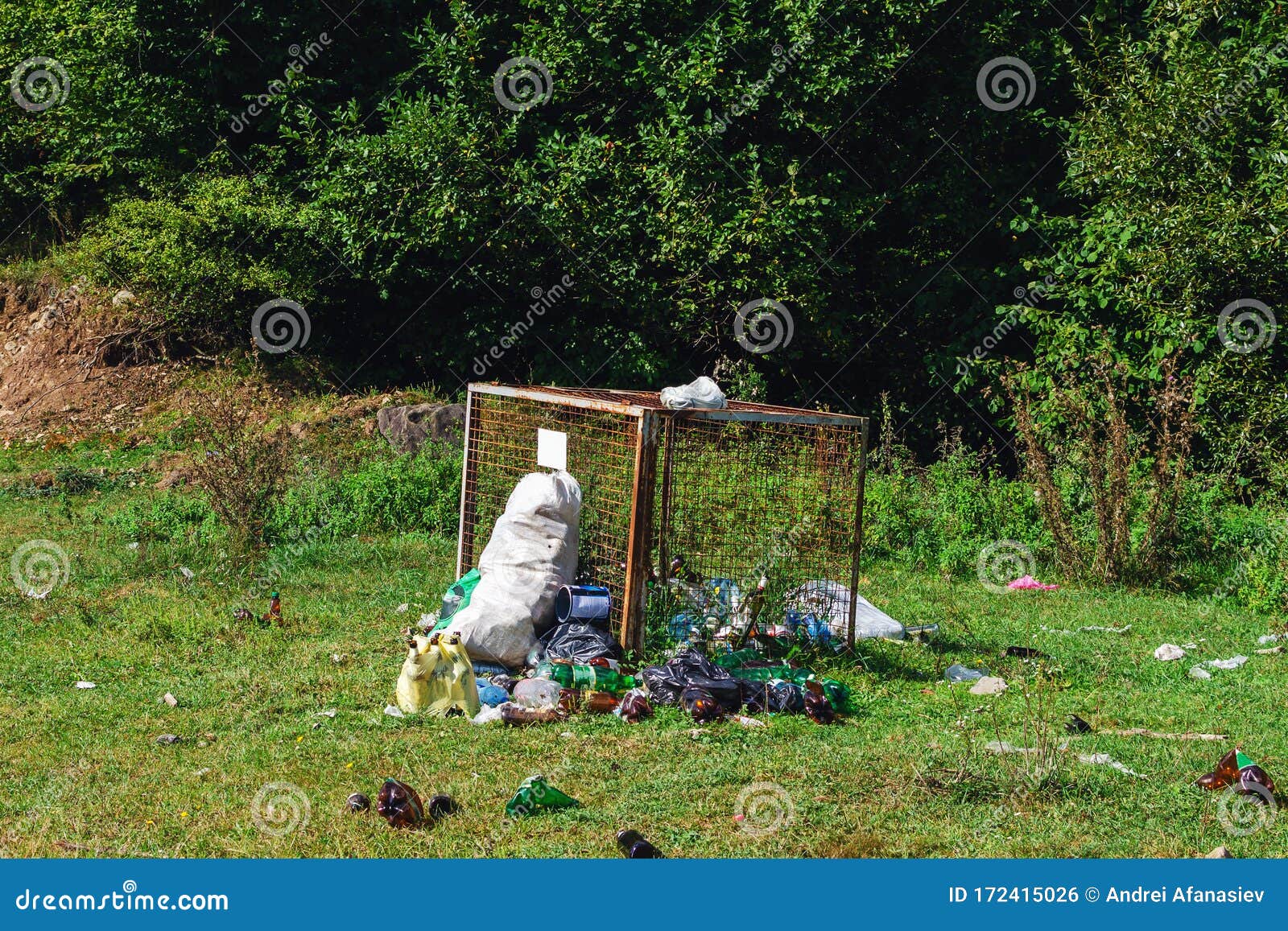 Garbage Scattered Around a Dumpster in Nature, Environmental Pollution ...