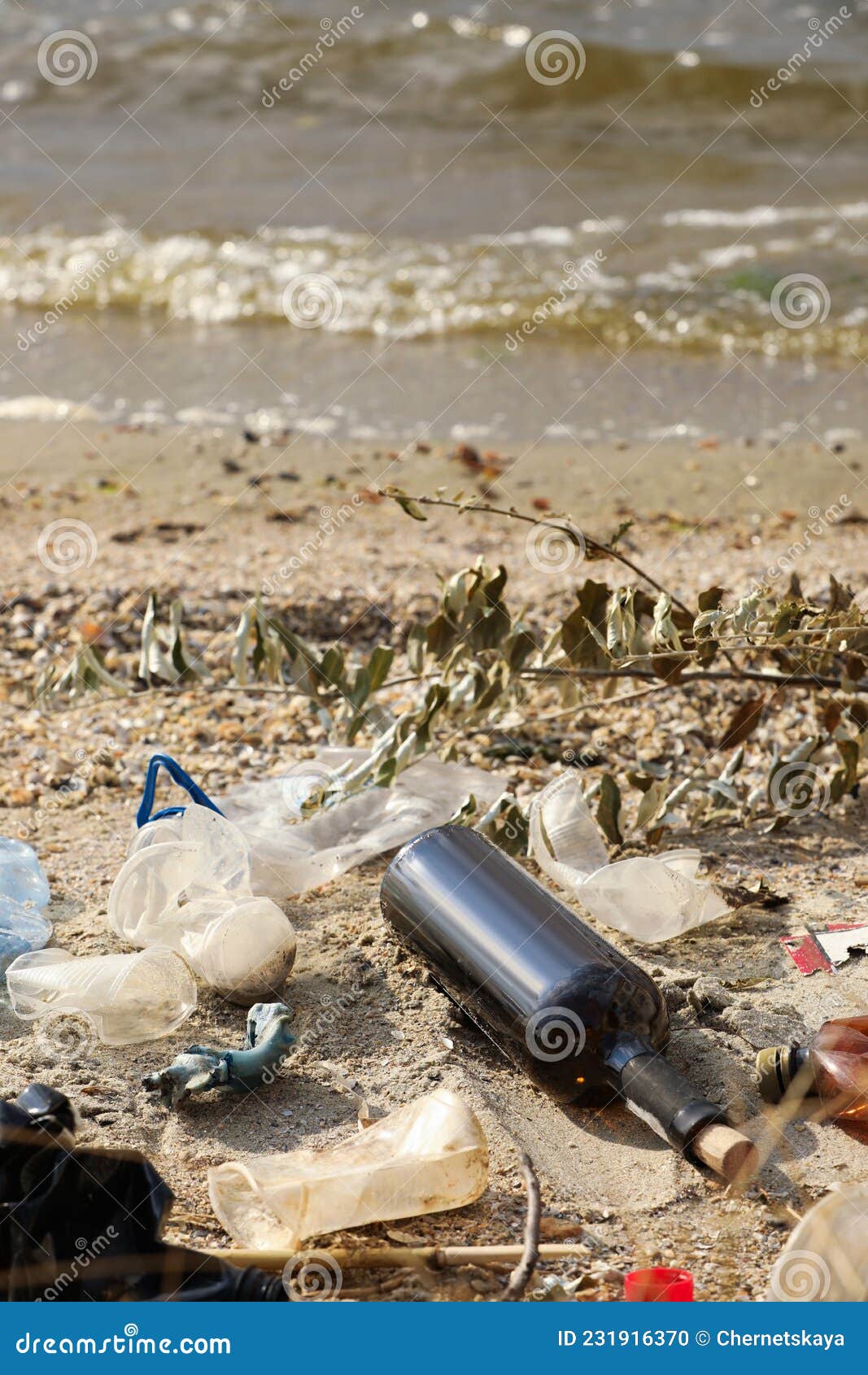 Garbage Scattered on Beach. Environment Pollution Problem Stock Photo ...