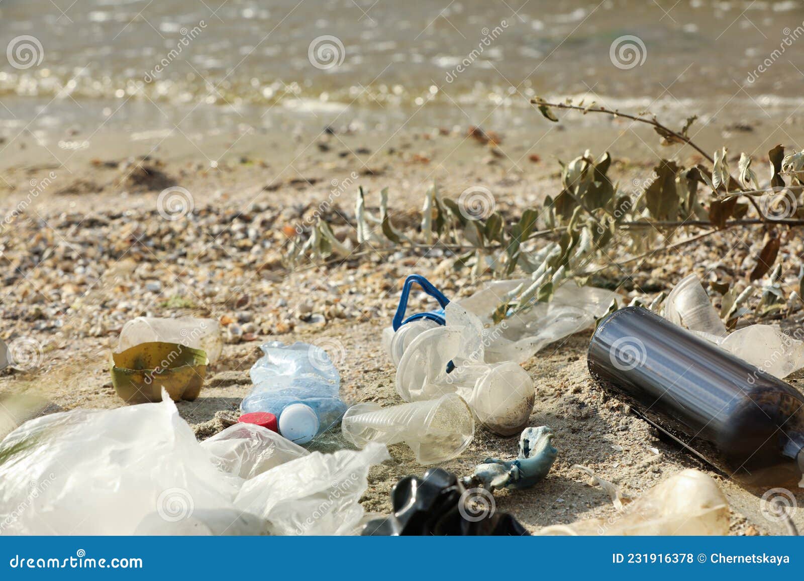 Garbage Scattered on Beach. Environment Pollution Problem Stock Photo ...