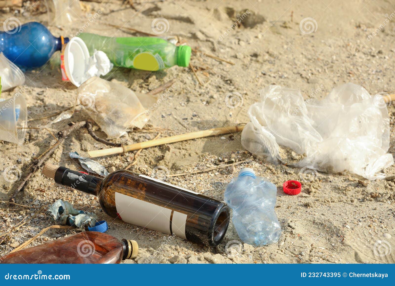 Garbage Scattered on Beach. Environment Pollution Problem Stock Image ...