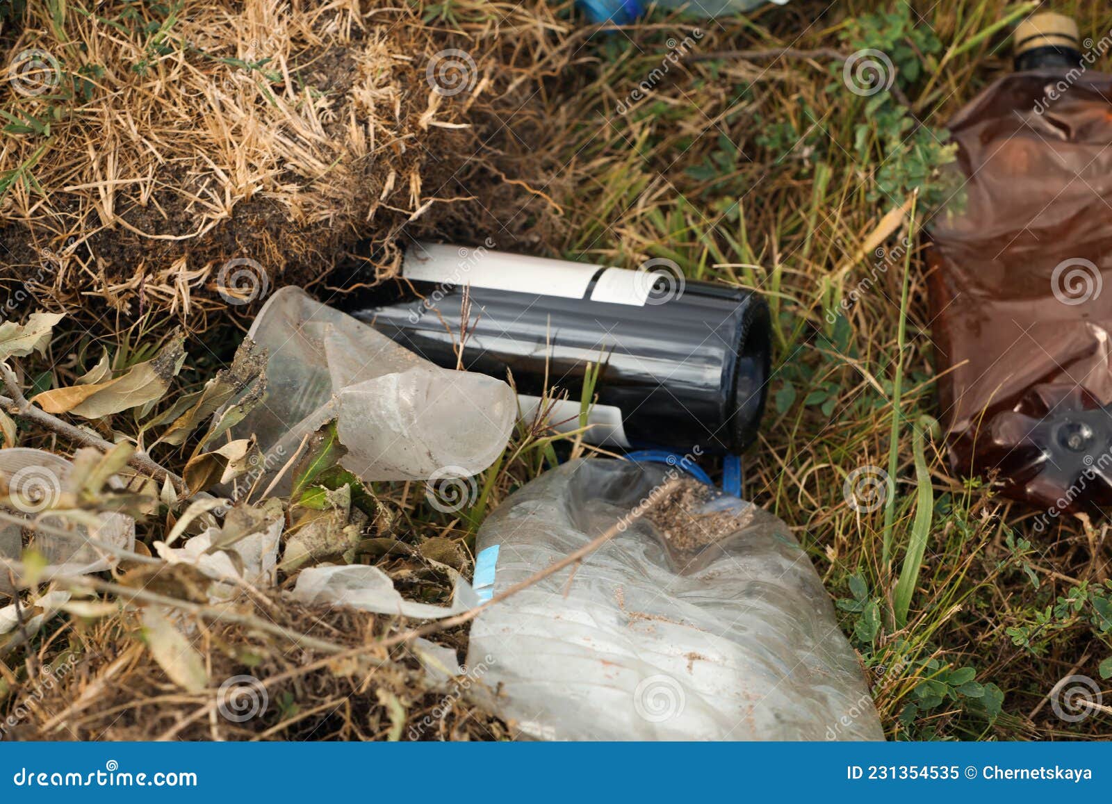 Garbage Scattered on Grass. Environment Pollution Problem Stock Image ...