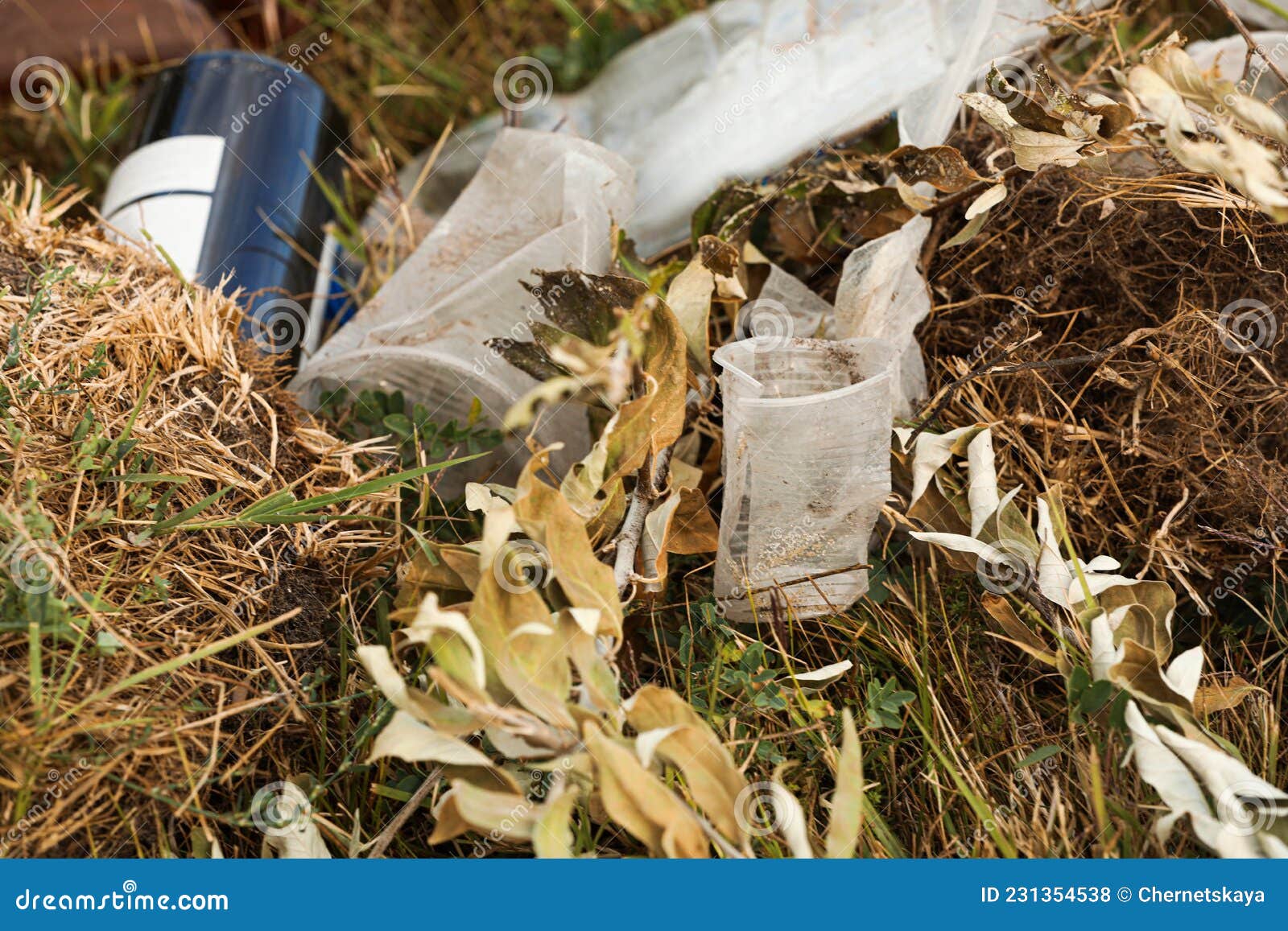 Garbage Scattered on Grass. Environment Pollution Problem Stock Photo ...