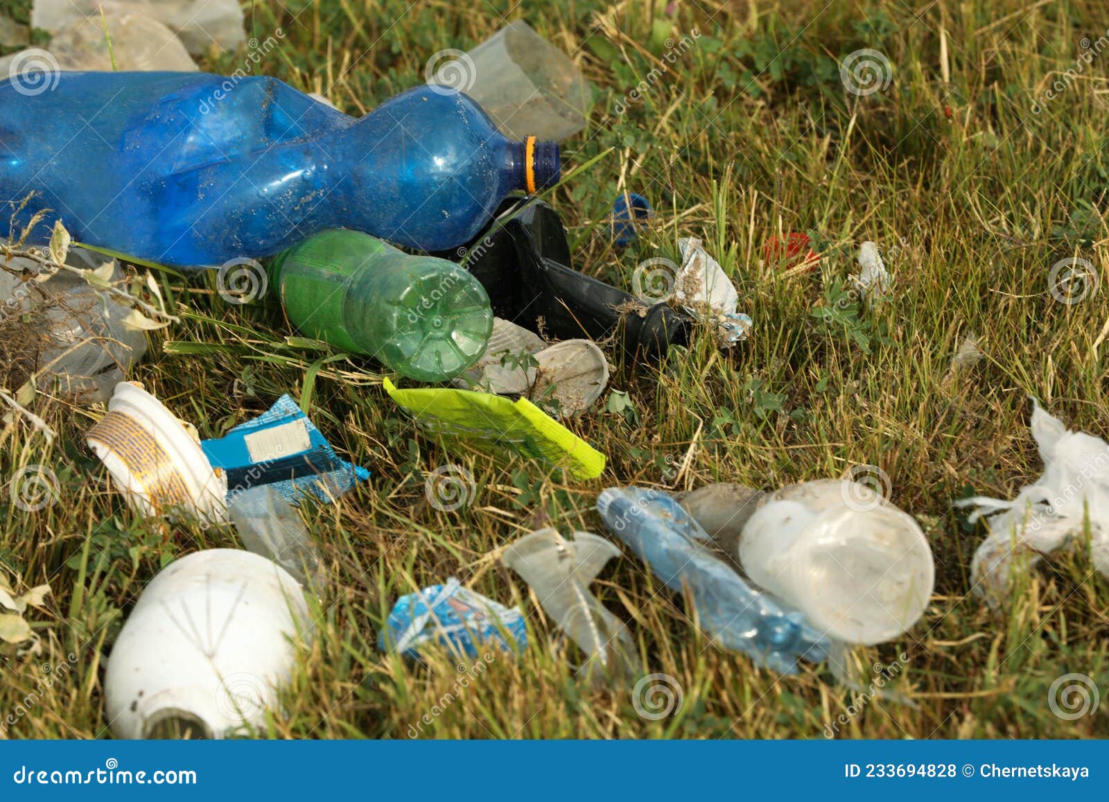 Garbage Scattered on Grass. Environment Pollution Problem Stock Photo ...