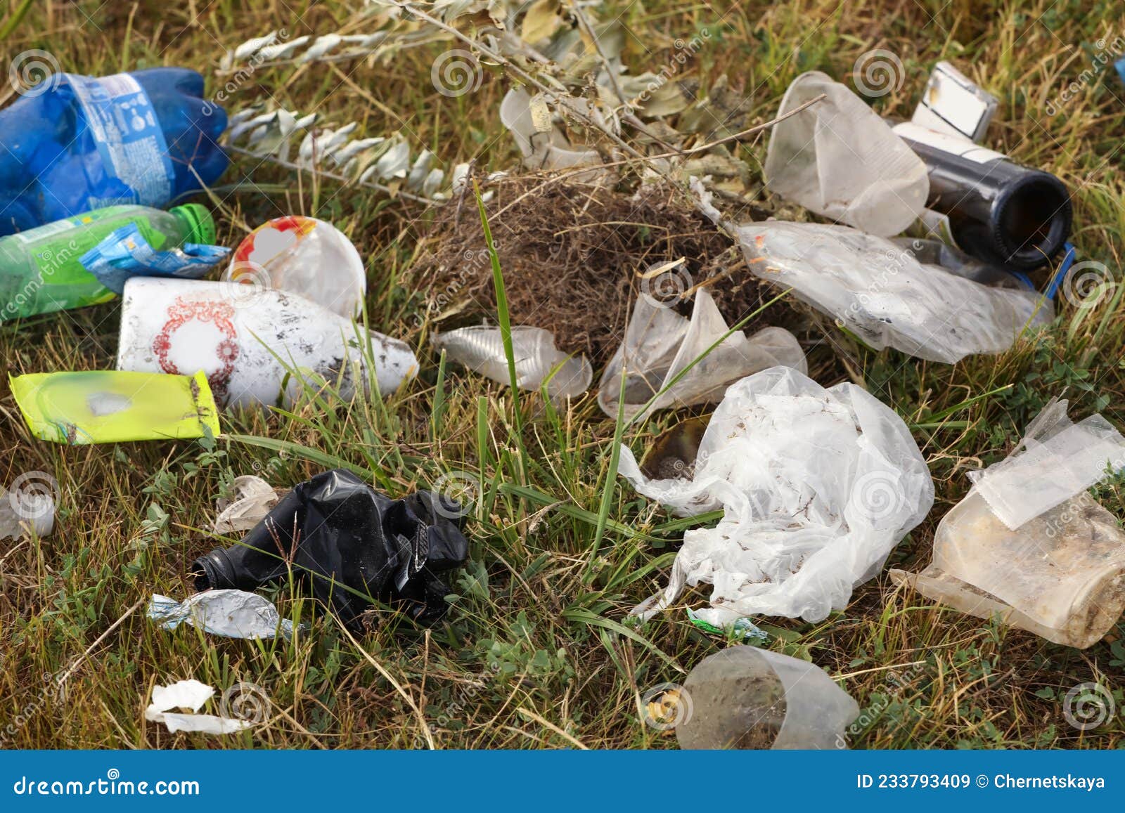 Garbage Scattered On Grass. Environment Pollution Problem Stock Image ...
