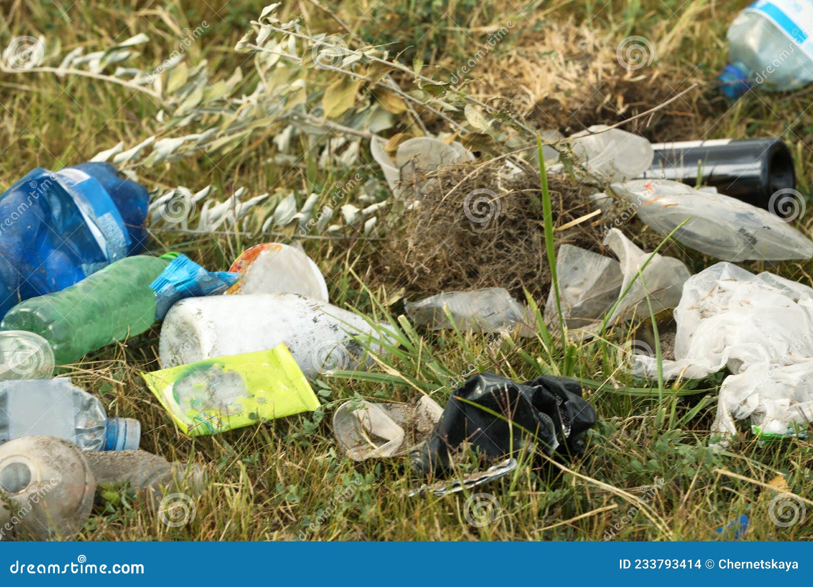Garbage Scattered on Grass. Environment Pollution Problem Stock Photo ...
