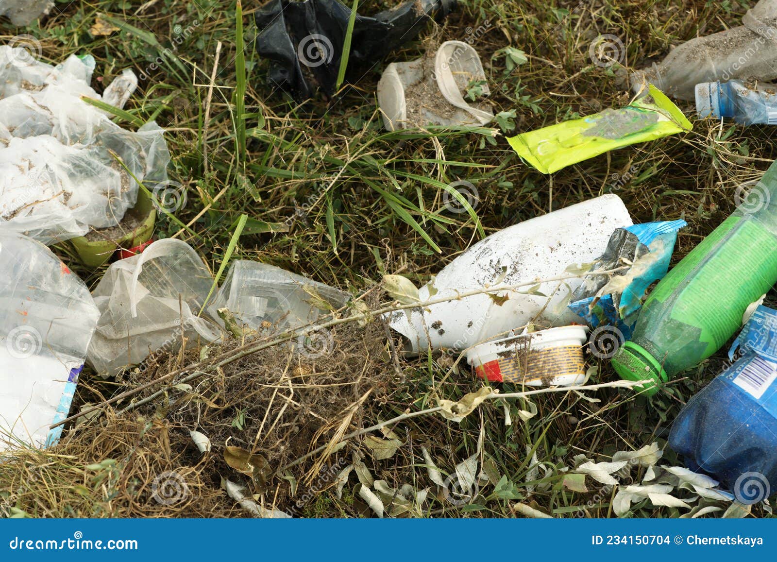 Garbage Scattered on Grass. Environment Pollution Problem Stock Photo ...
