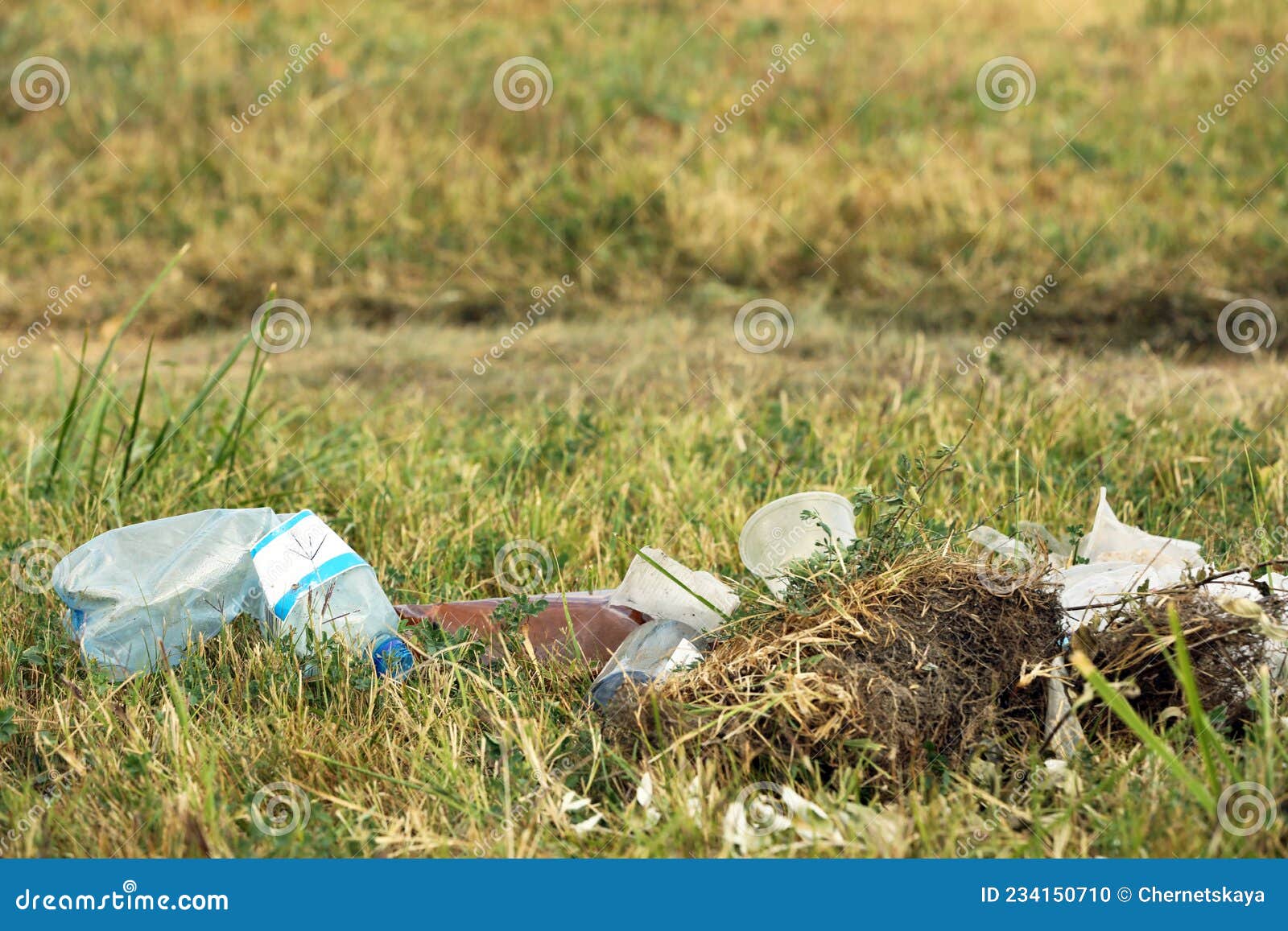 Garbage Scattered on Grass. Environment Pollution Problem Stock Photo ... Garbage Scattered on Grass. Environment Pollution Problem Stock Photo ...