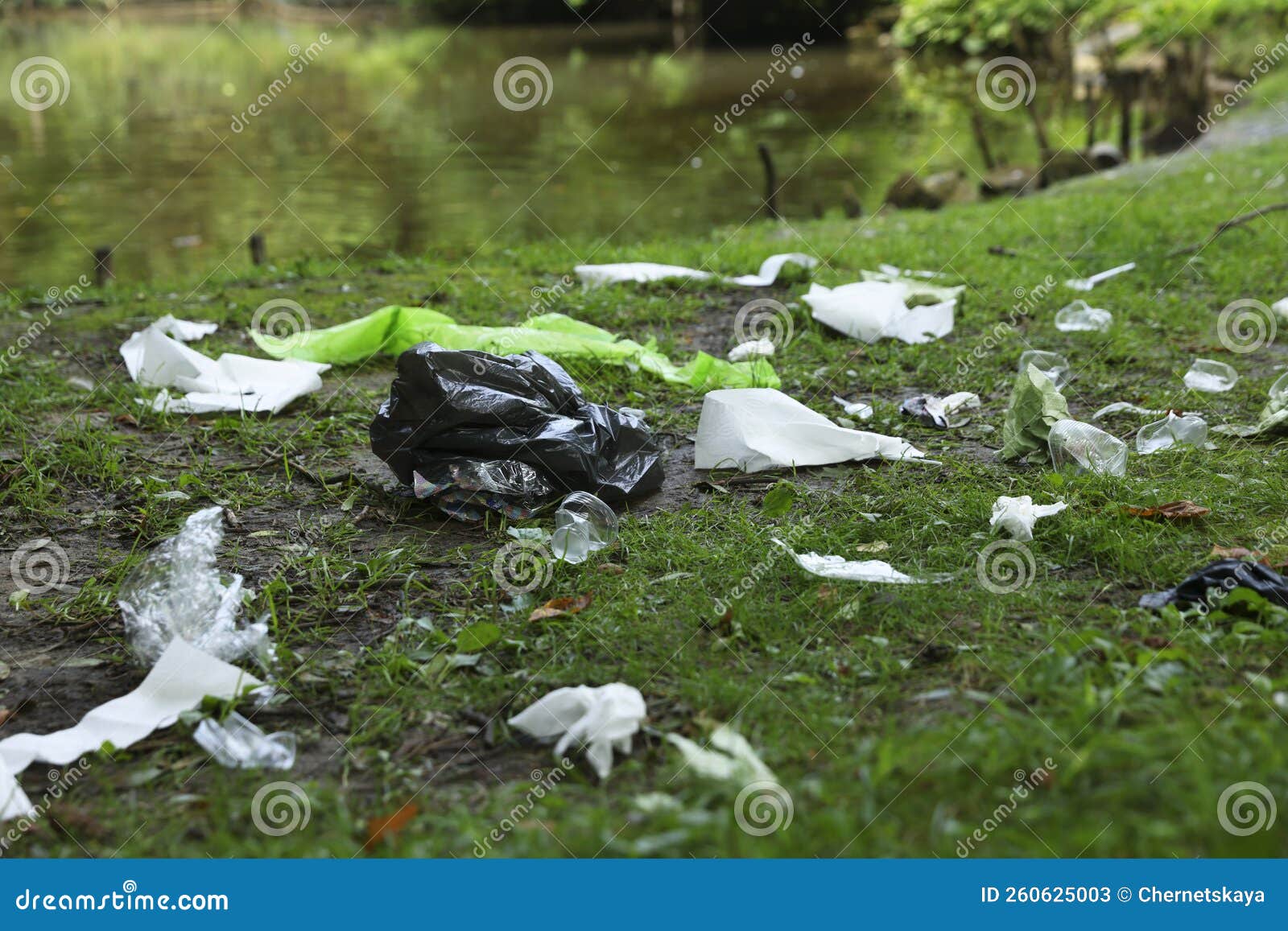 Garbage Scattered on Green Grass in Park Stock Image - Image of ...