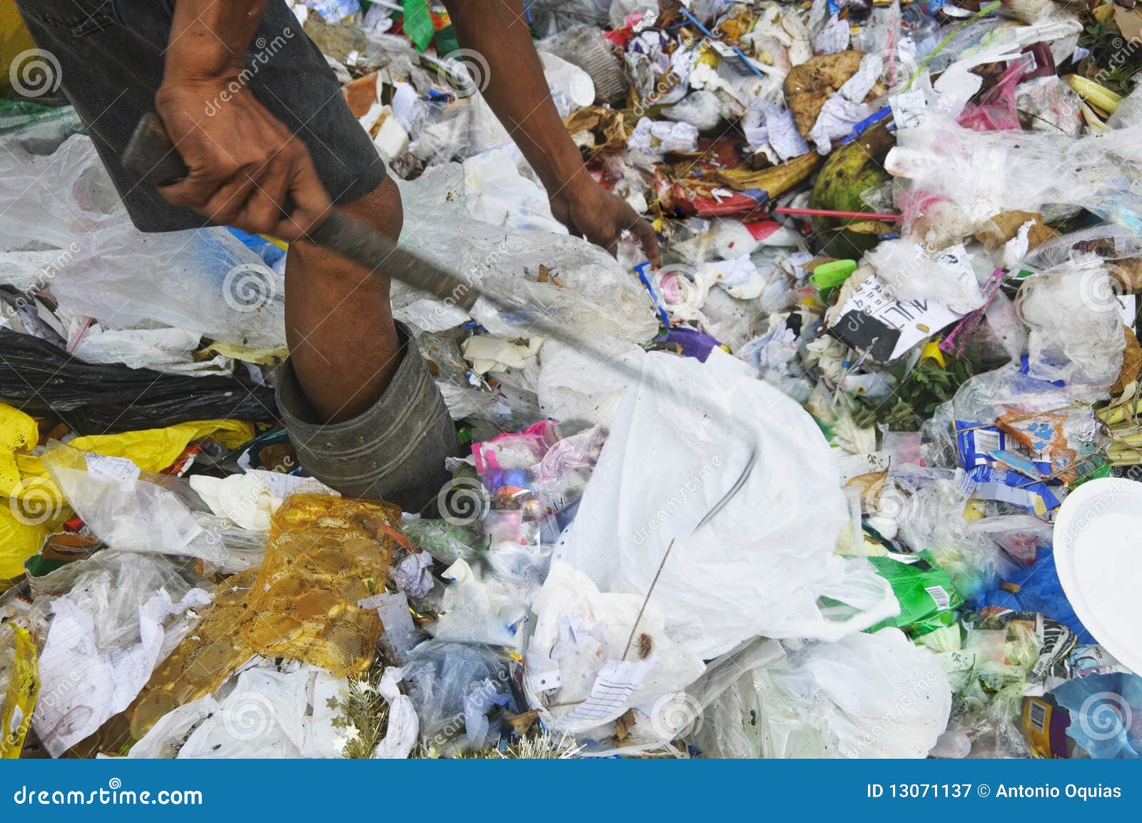 Garbage Scavenger stock image. Image of squatter, dump - 13071137