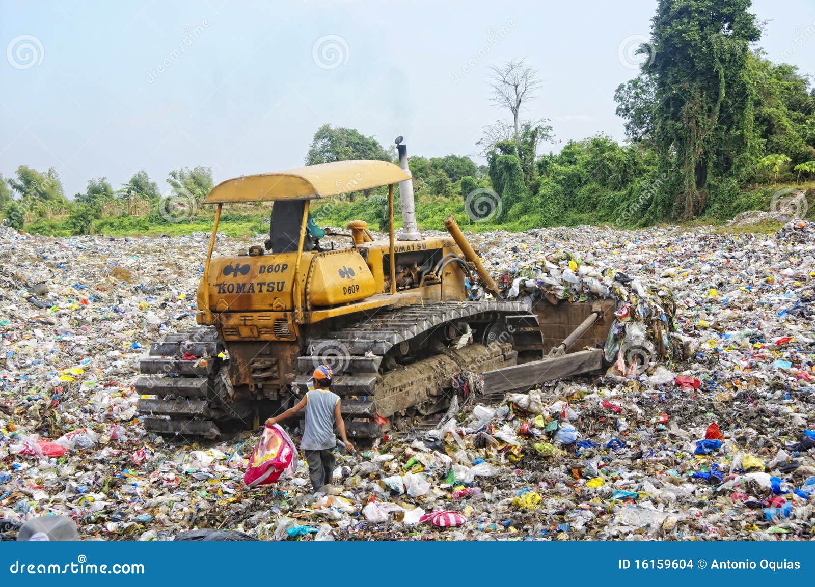 Garbage Scavengers editorial stock image. Image of dirty - 16159604