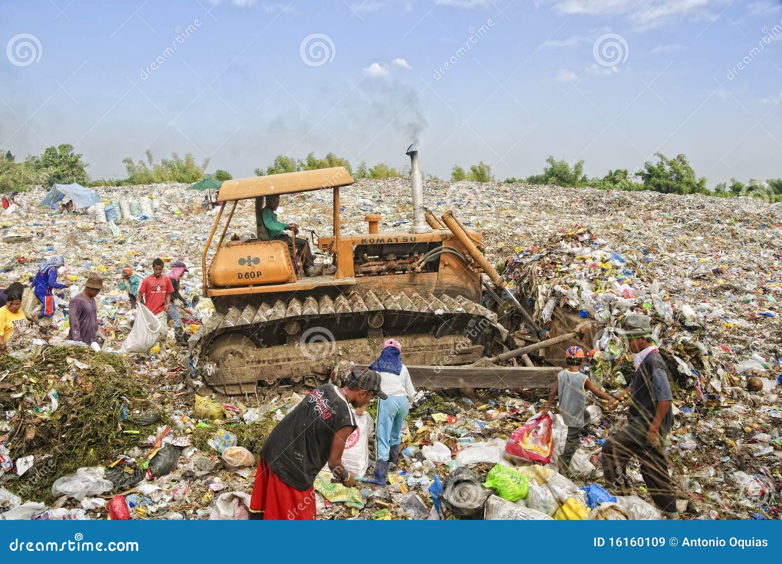 Garbage Scavengers editorial stock image. Image of yard - 16160109