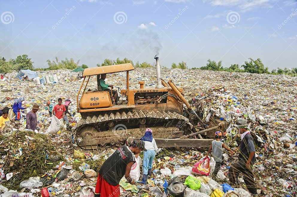 Garbage Scavengers editorial stock image. Image of yard - 16160109
