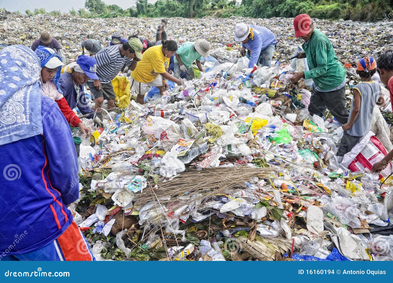 Garbage Scavengers editorial stock image. Image of garbage - 16160194