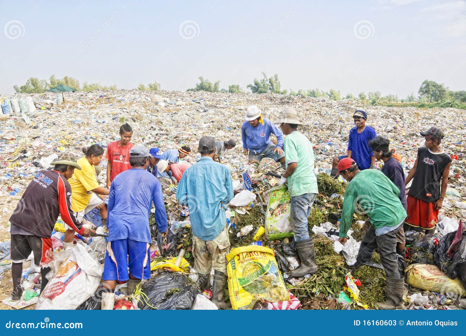 Garbage Scavengers editorial stock photo. Image of disposal - 16160603