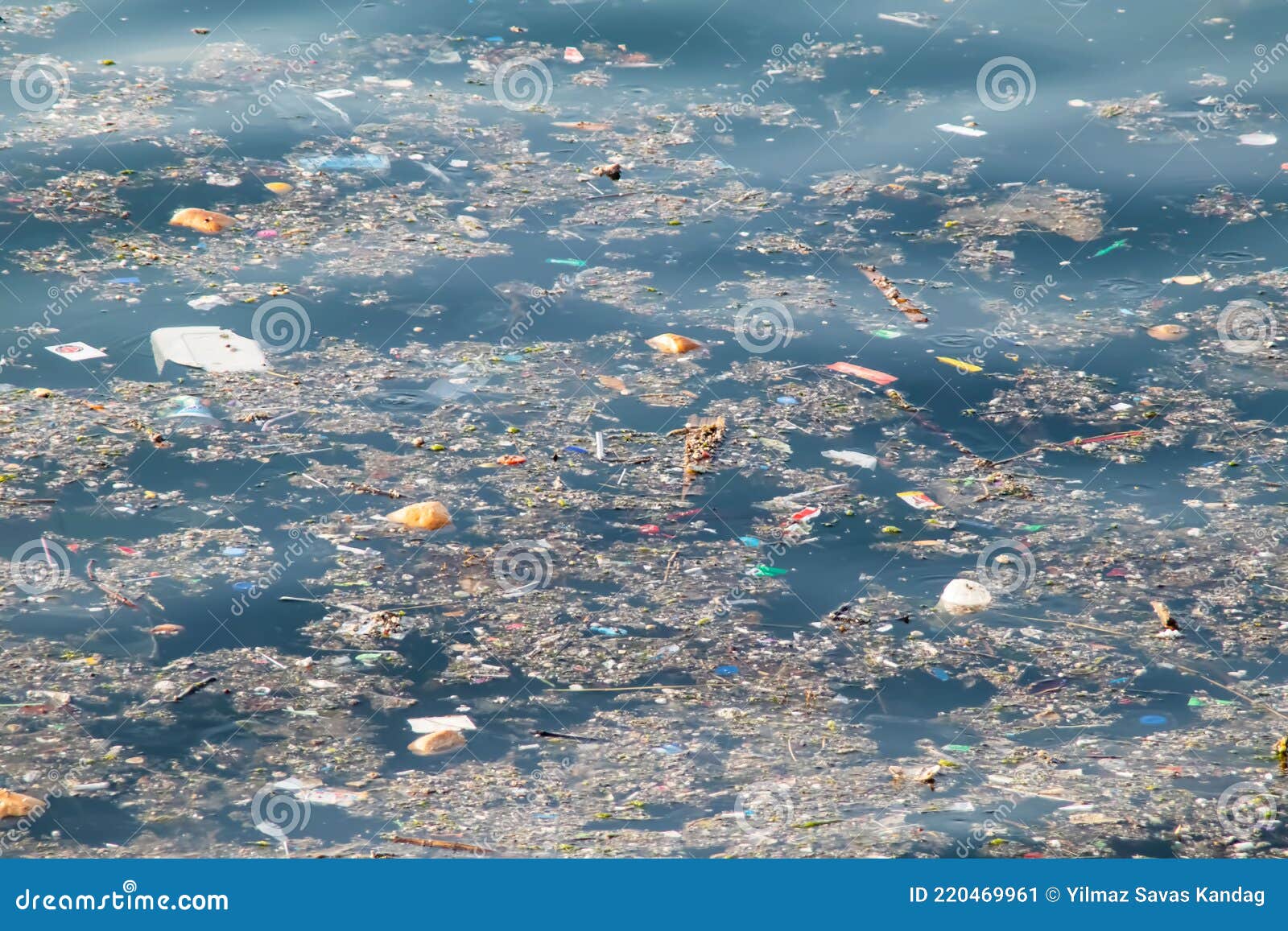 Garbage on the sea surface stock image. Image of coast - 220469961