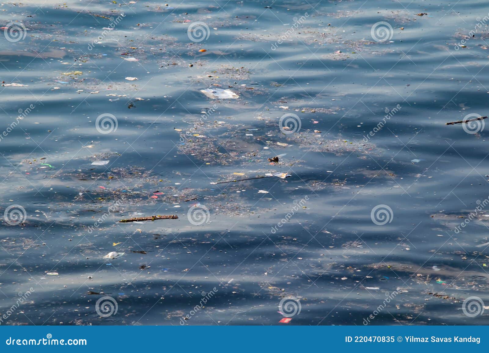 Garbage on the sea surface stock image. Image of marine - 220470835