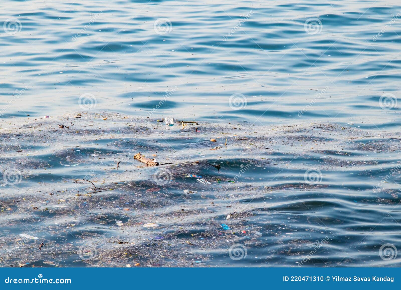 Garbage on the sea surface stock photo. Image of fish - 220471310