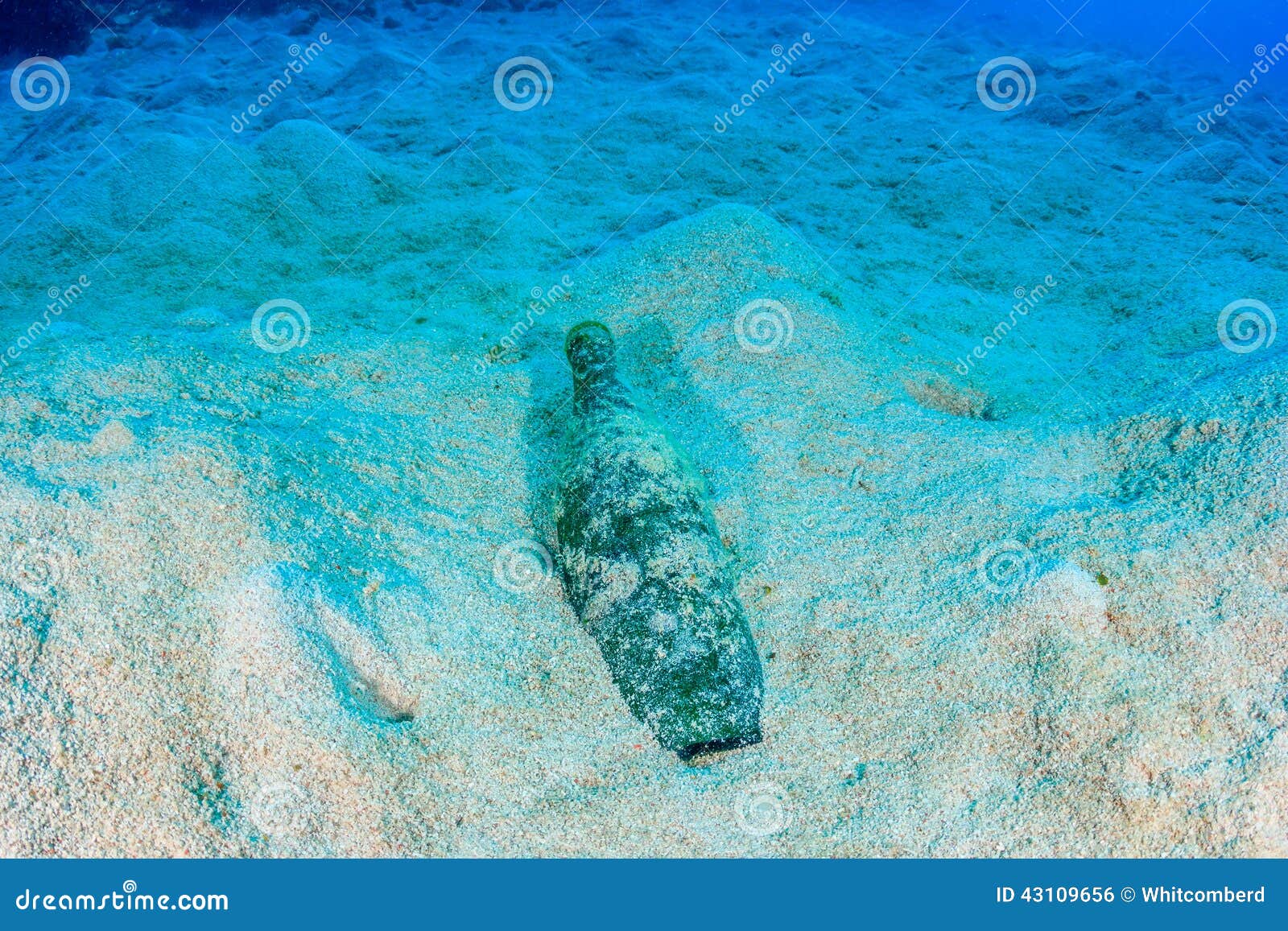 Garbage on the seafloor stock photo. Image of global - 43109656