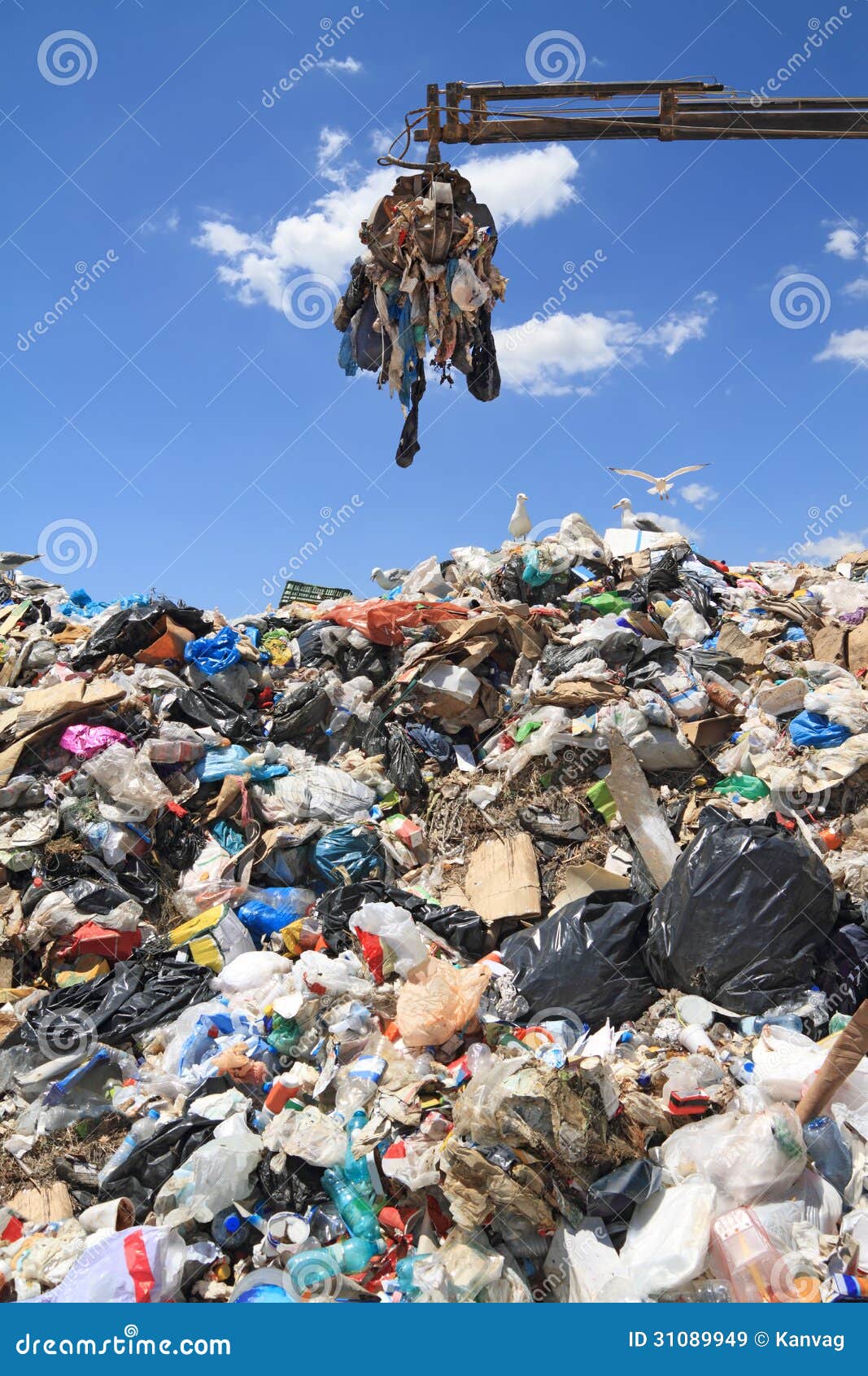 Garbage and seagulls stock image. Image of junkyard, bottle - 31089949