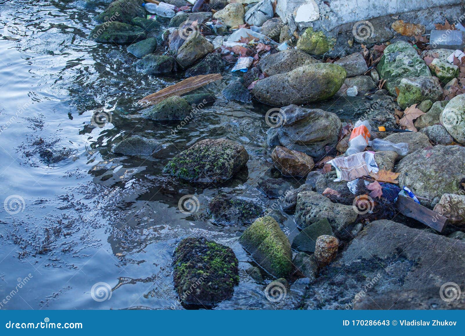 Garbage on the seashore stock image. Image of ecology - 170286643