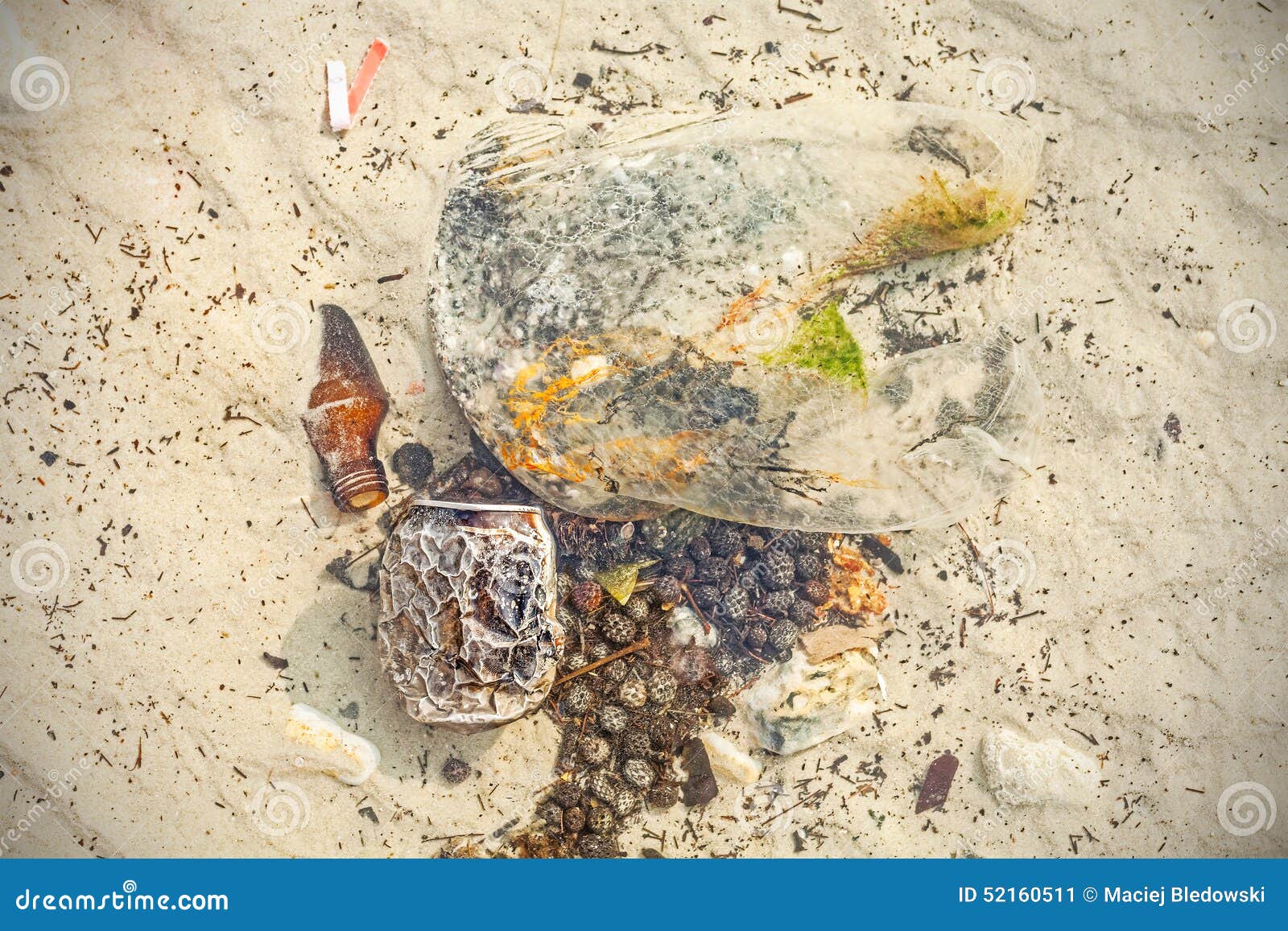 Garbage in Shallow Water, Beach Polluted by People. Stock Image - Image ...