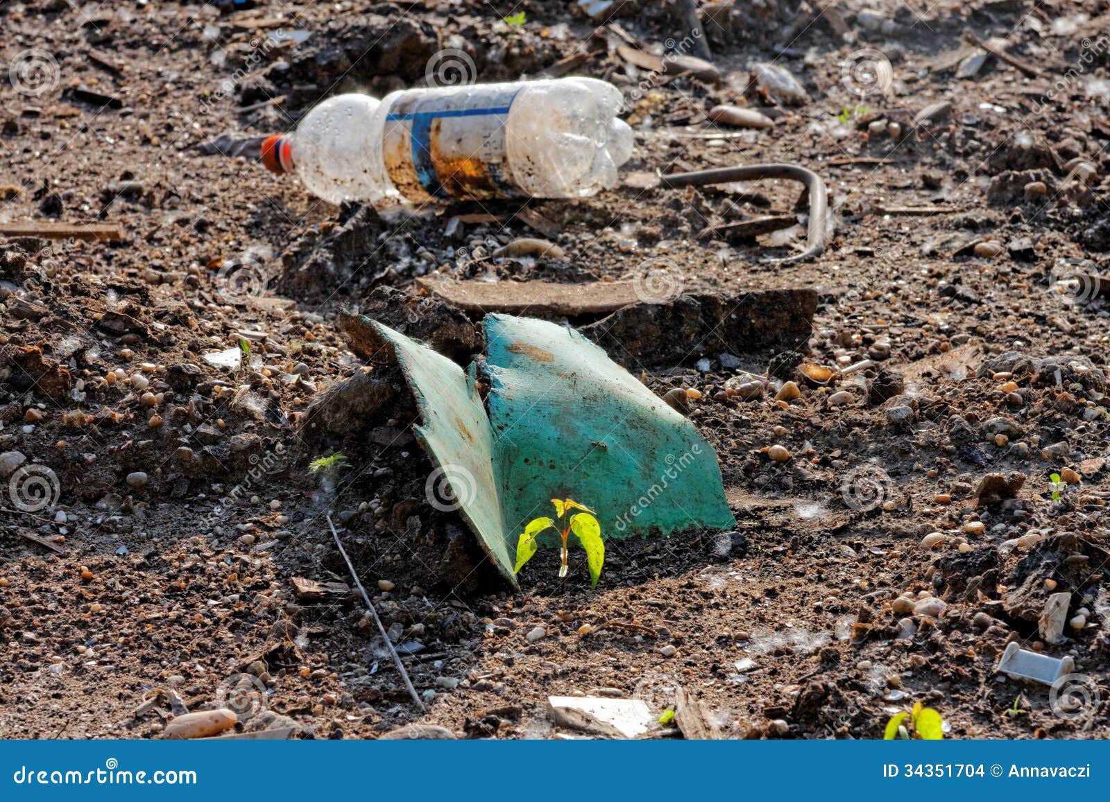 Garbage on the shore stock photo. Image of garbage, environmental ...