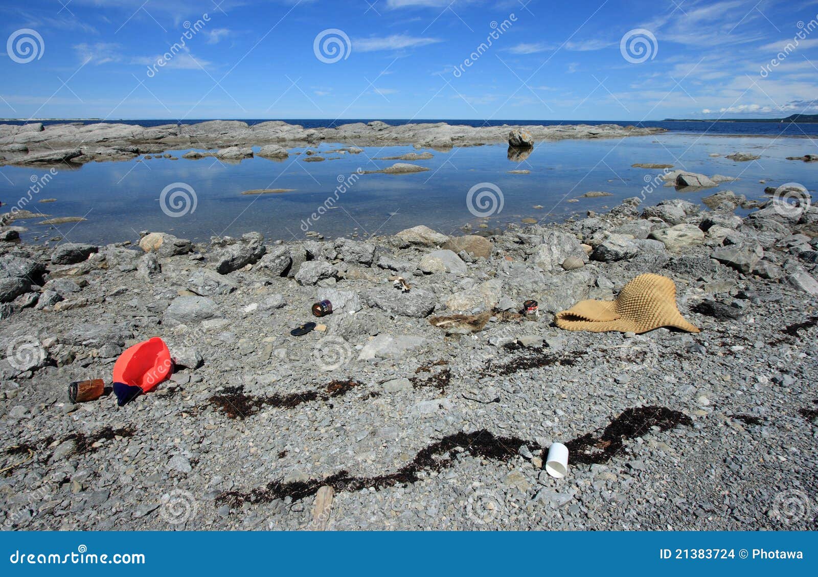 Garbage on the Shoreline stock photo. Image of pollution - 21383724