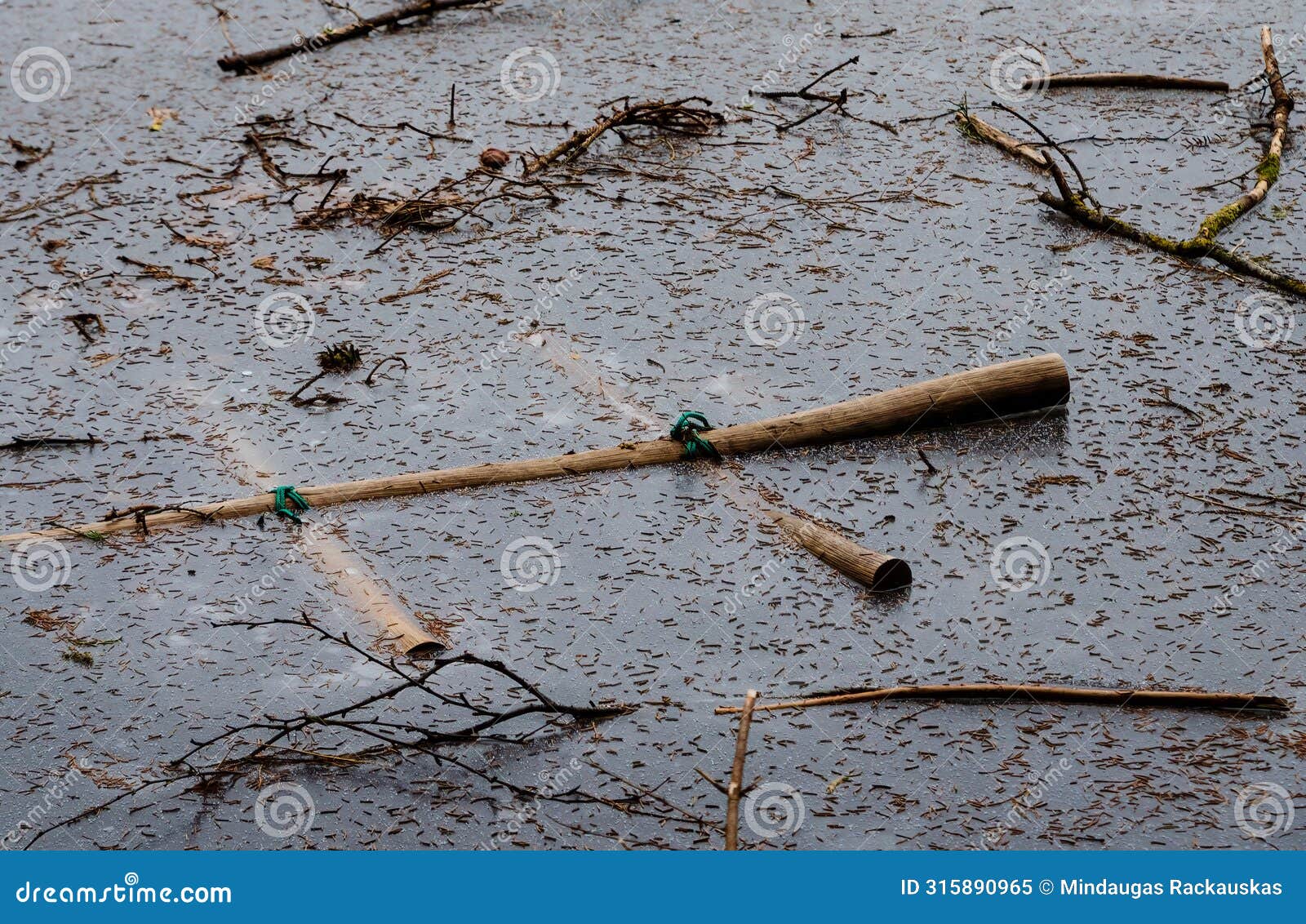 Garbage is Thrown Everywhere, Posing a Danger To Nature, Which Will Not ...