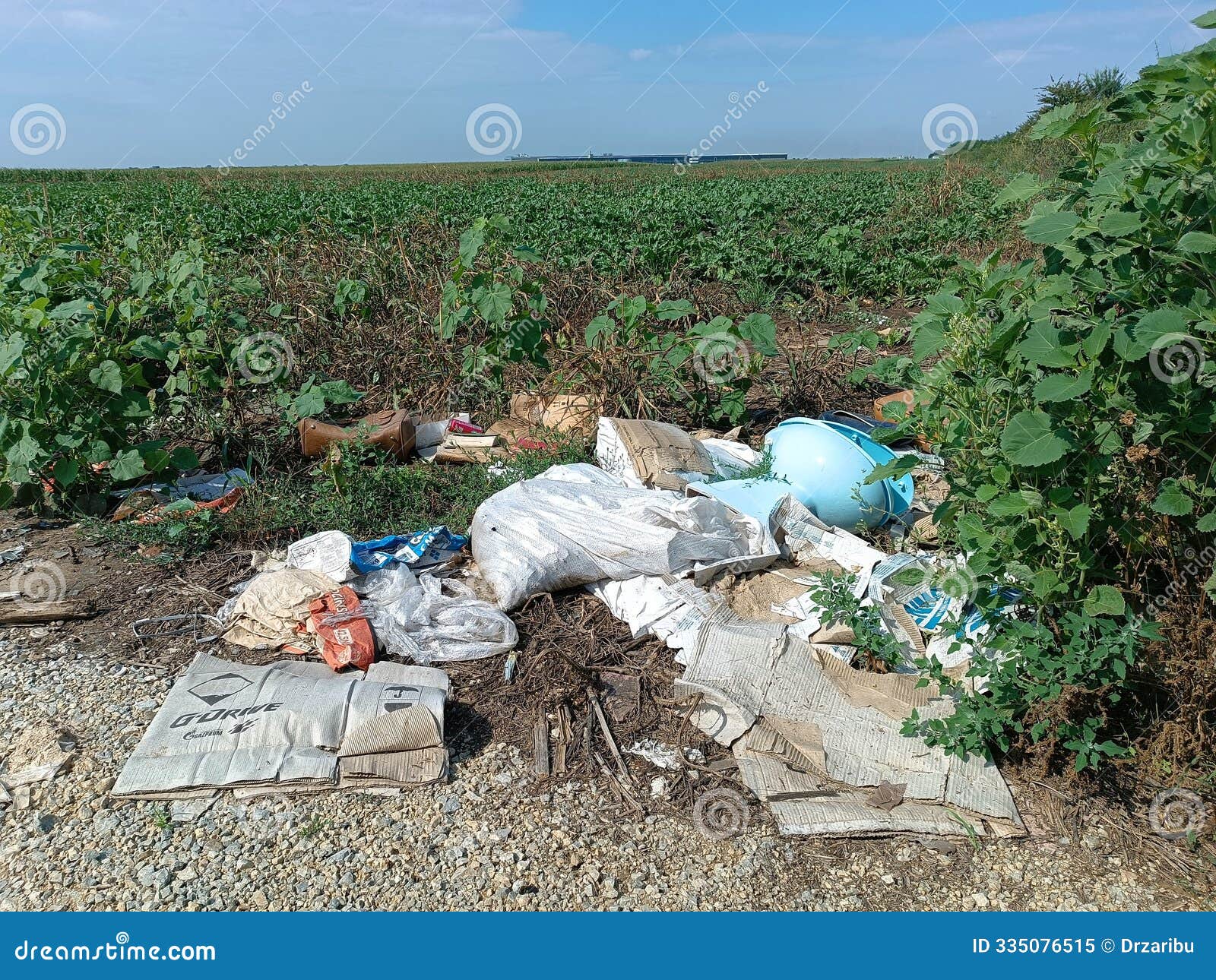 Garbage Thrown in the Field by the Road Causes Environmental Problems ...