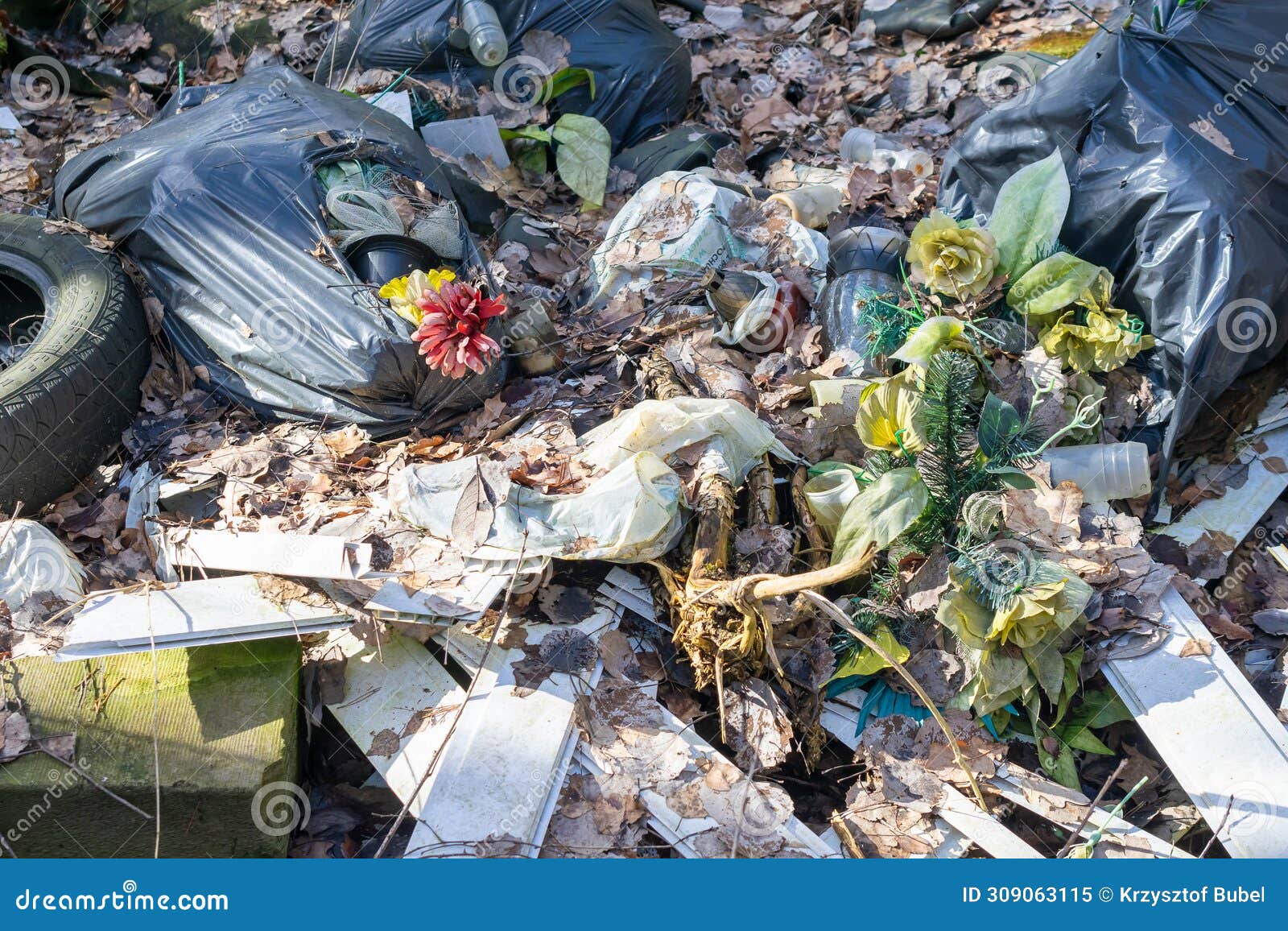 Garbage Thrown in the Forest Stock Image - Image of nature, thrown ...