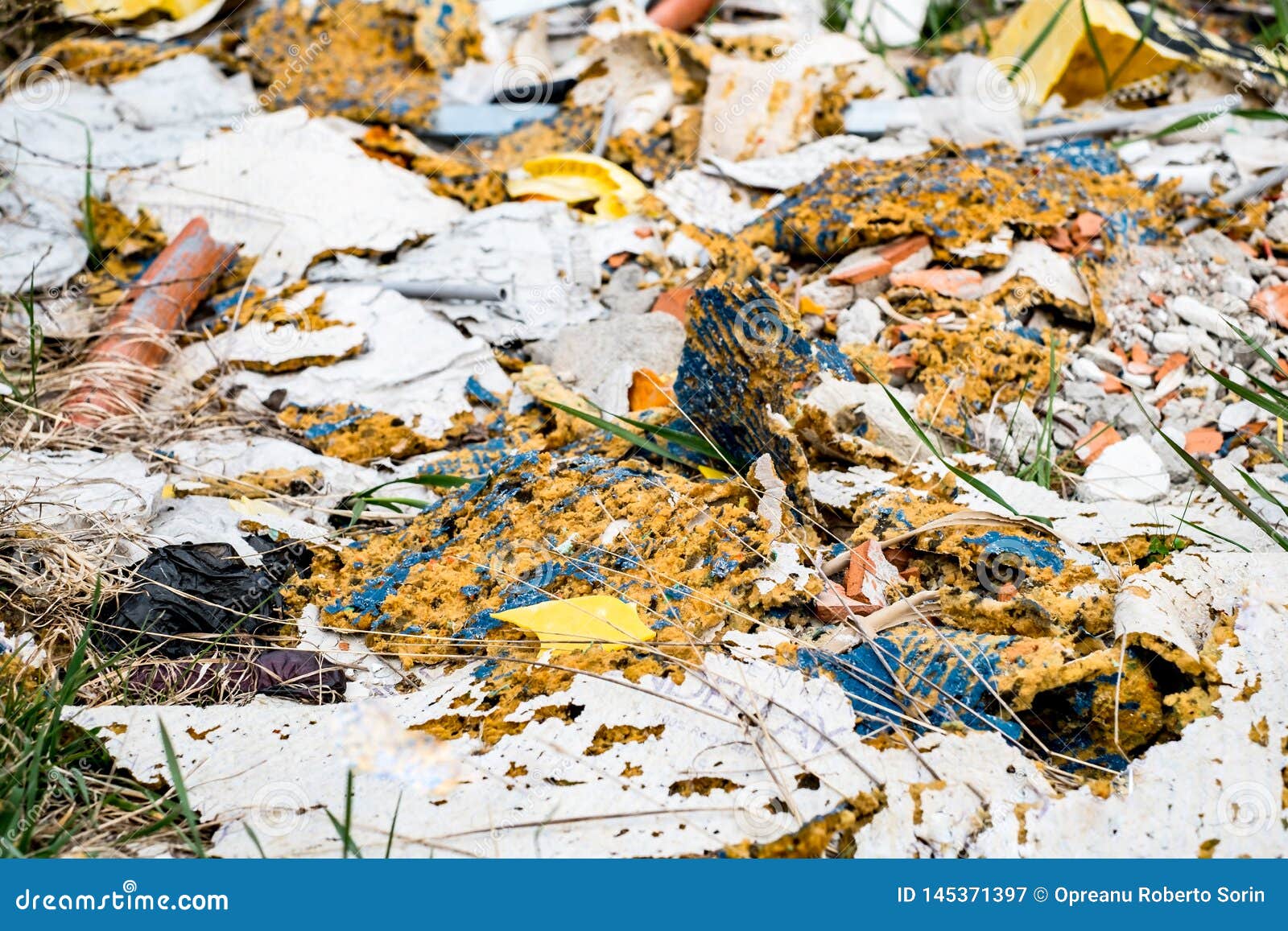 Garbage Thrown into the Grass, Polluted the Nature Stock Image - Image ...