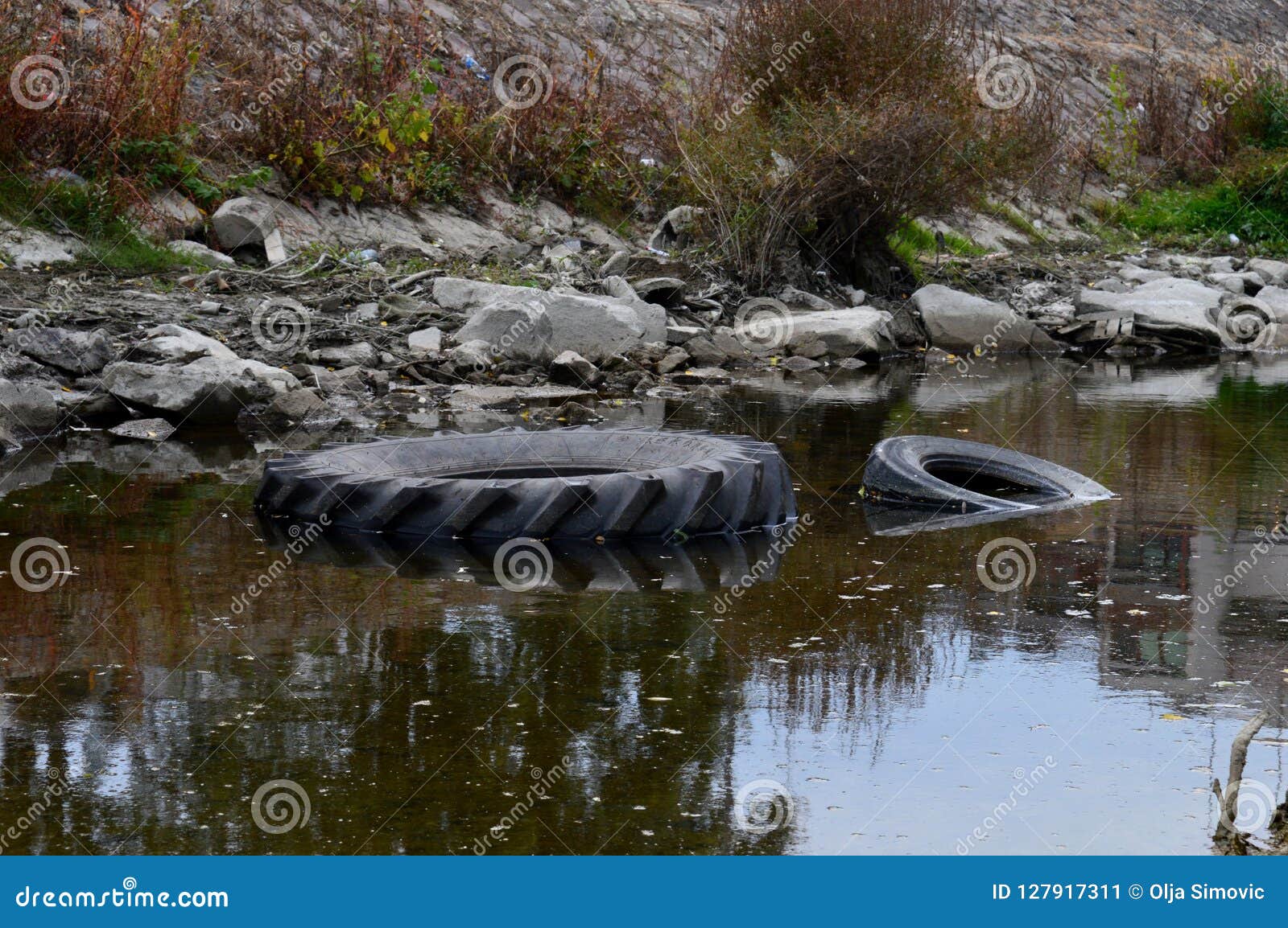 Garbage in the river stock image. Image of nature, garbage - 127917311