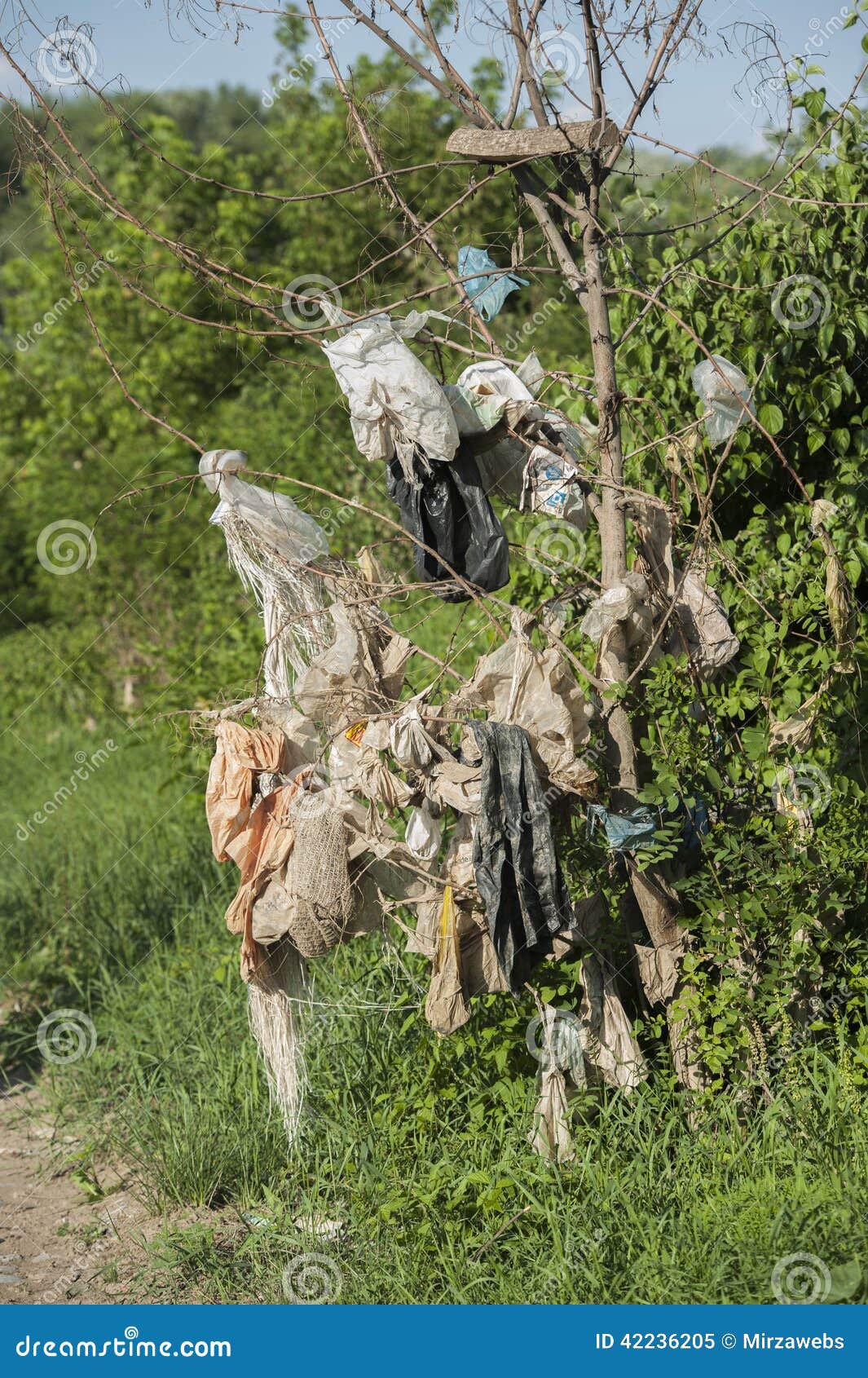 Garbage on tree stock image. Image of aluminum, ecology - 42236205