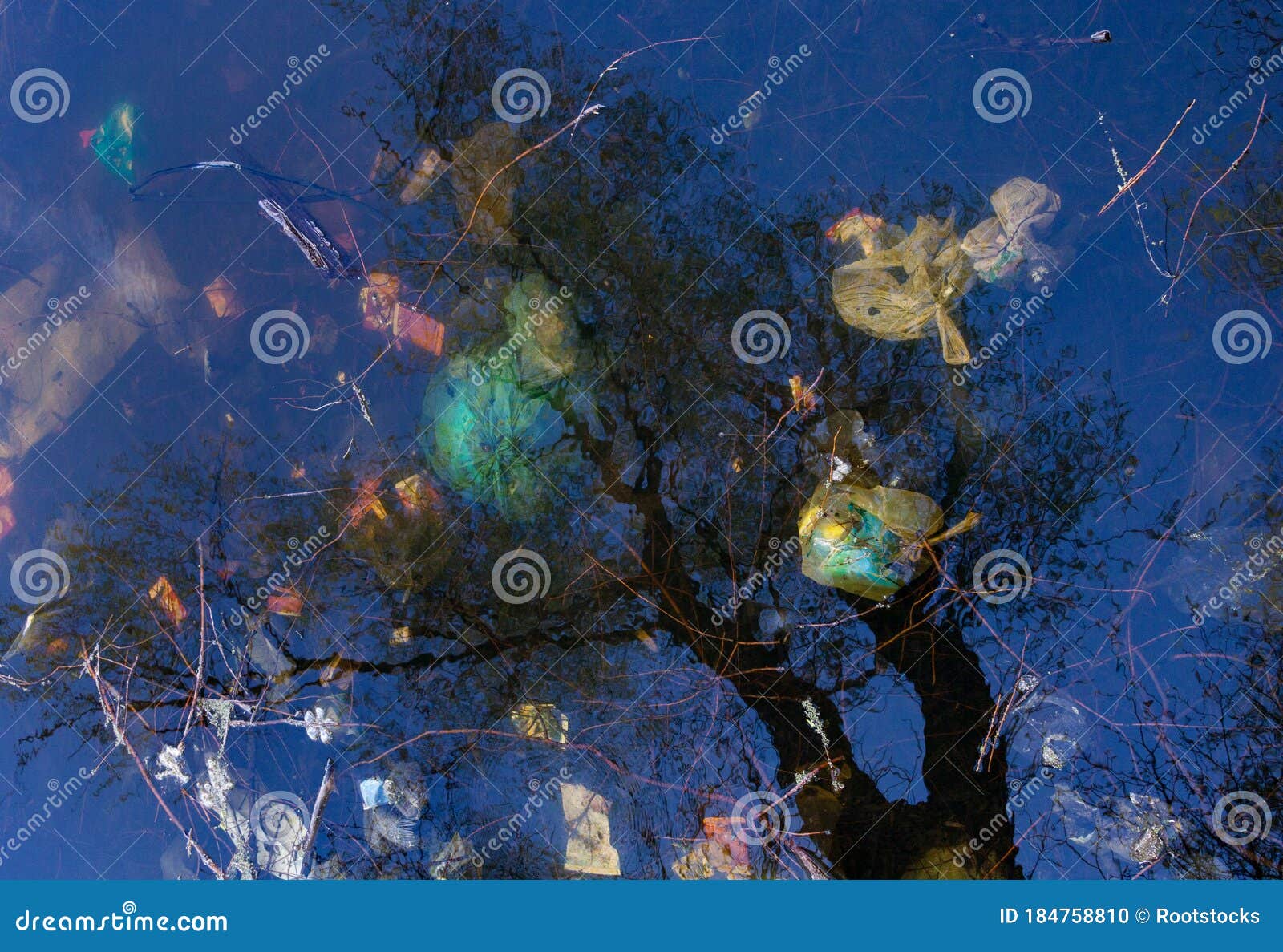 Garbage and Tree Reflections in Water Stock Photo - Image of pollute ...