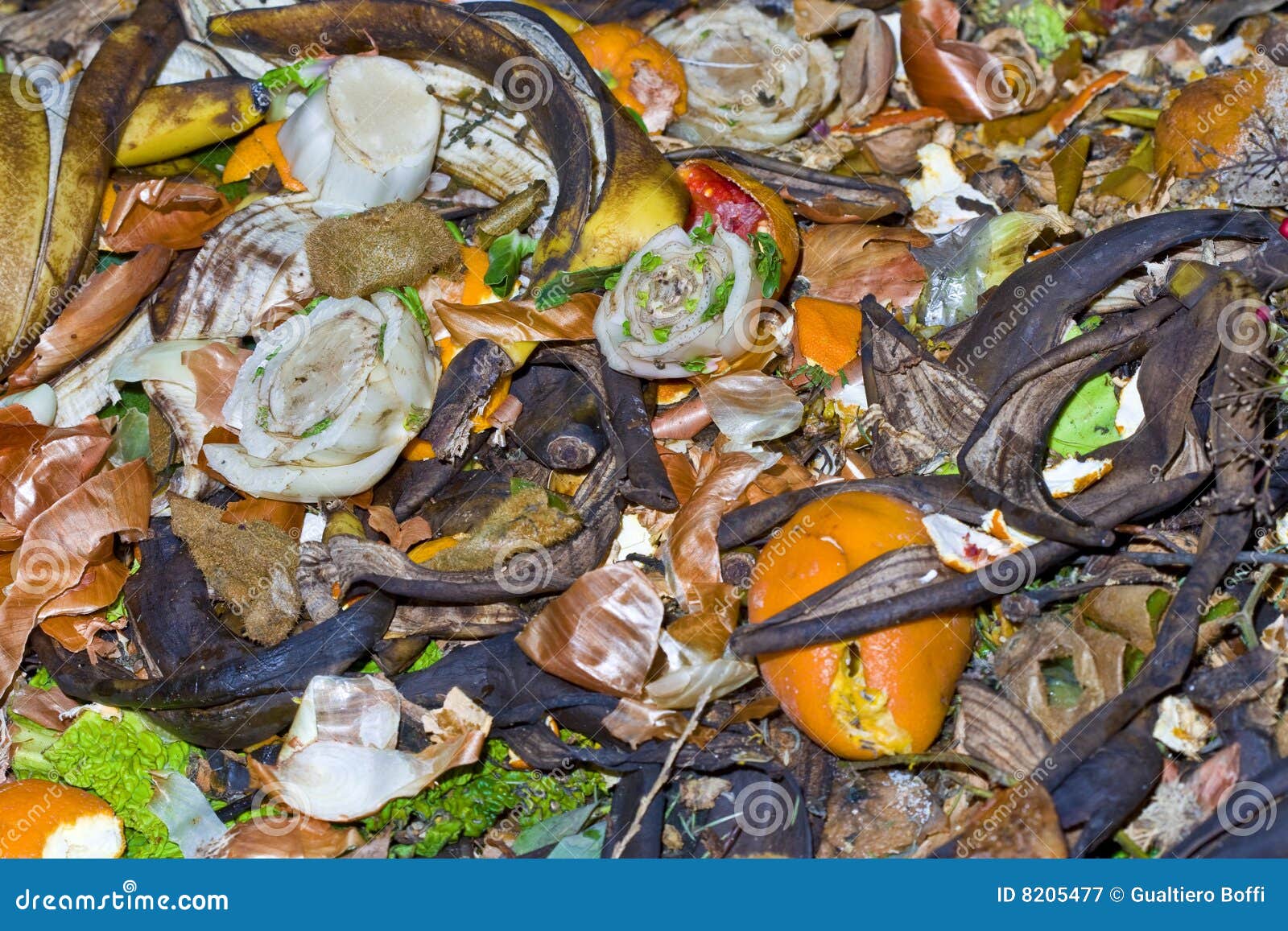 Garbage vegetable stock image. Image of recycle, skin - 8205477