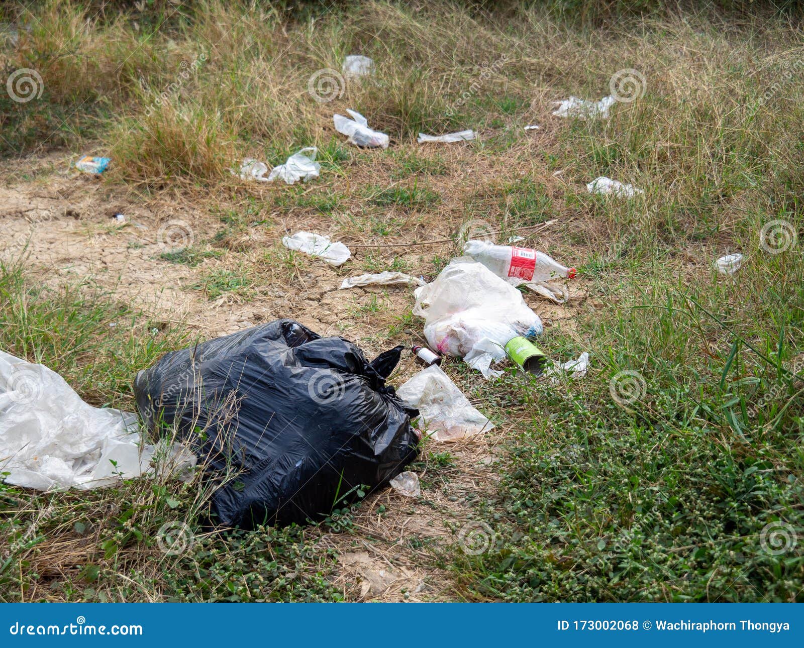 The Garbage that Was Dumped in the Roadside Park, Plastic Waste. Stock ...
