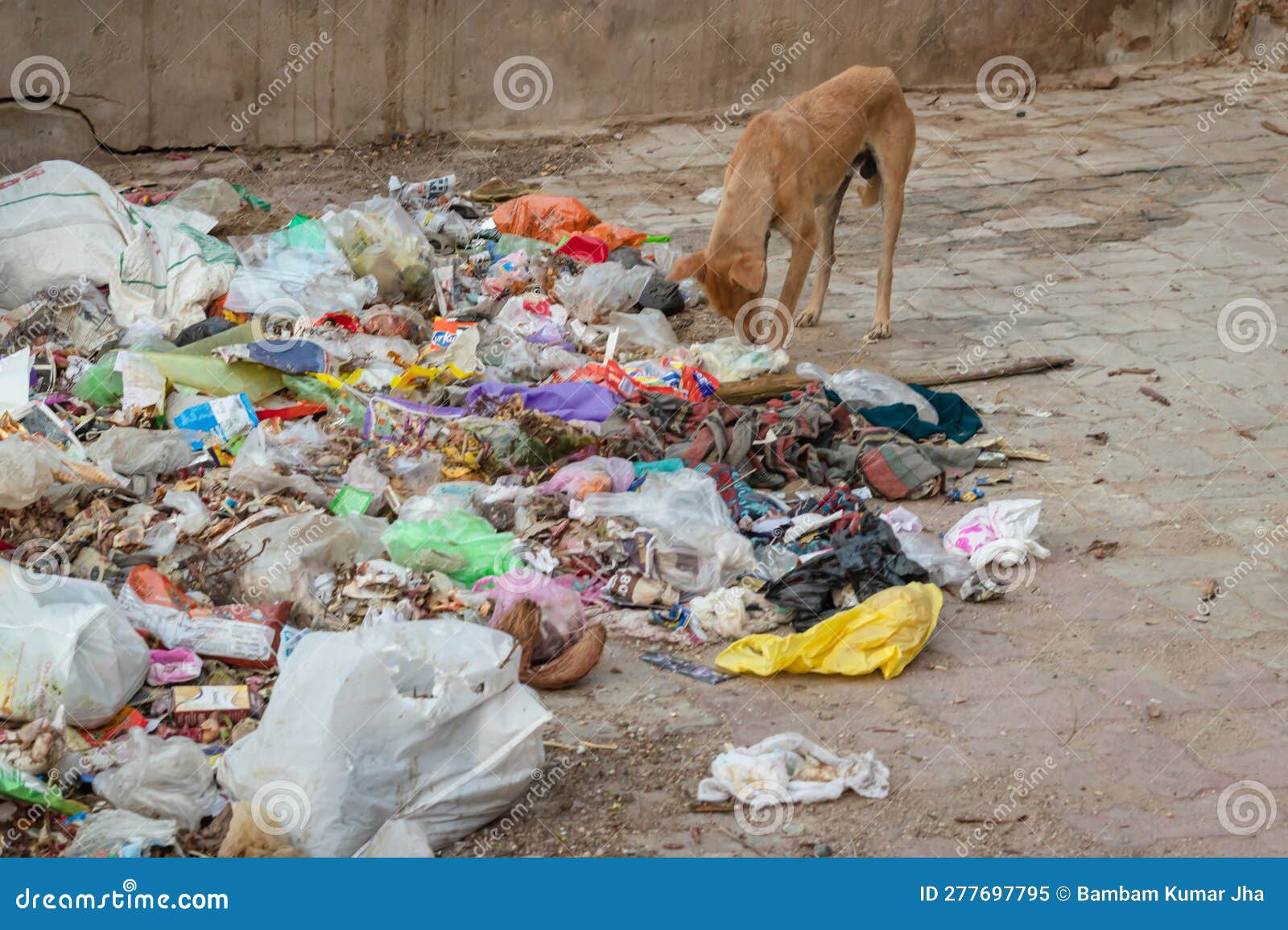 Garbage Waste Items and Plastic Begs Liter in Open at Day from ...